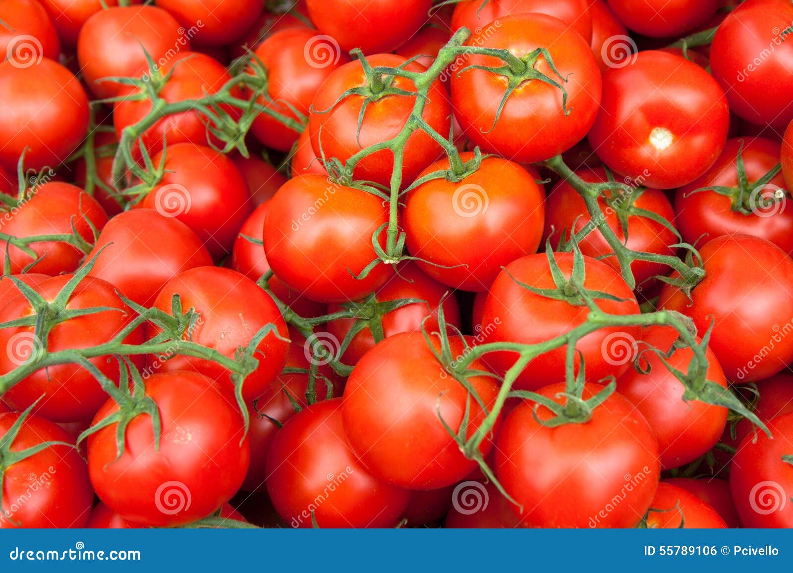 Tomatoes, Red, Vine-ripened Stock Photo - Image of tomato, sauce: 55789106