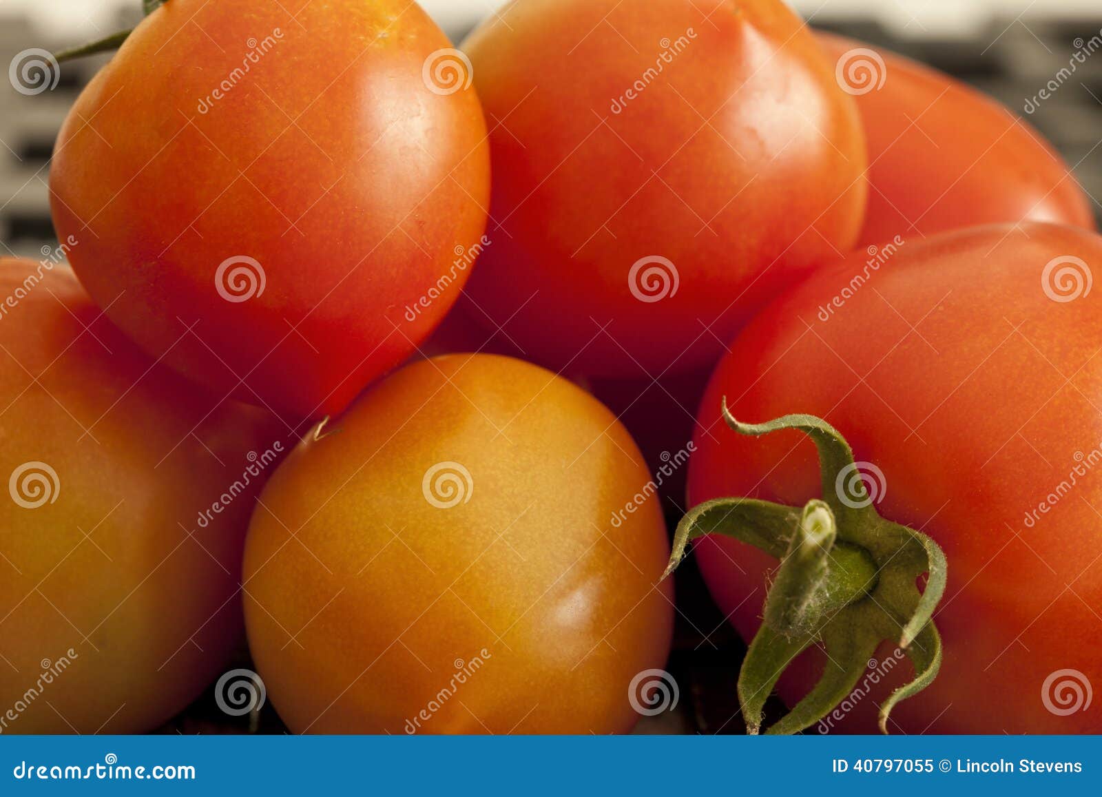 Tomatoes Ripe stock image. Image of produce, vine, tasty - 40797055