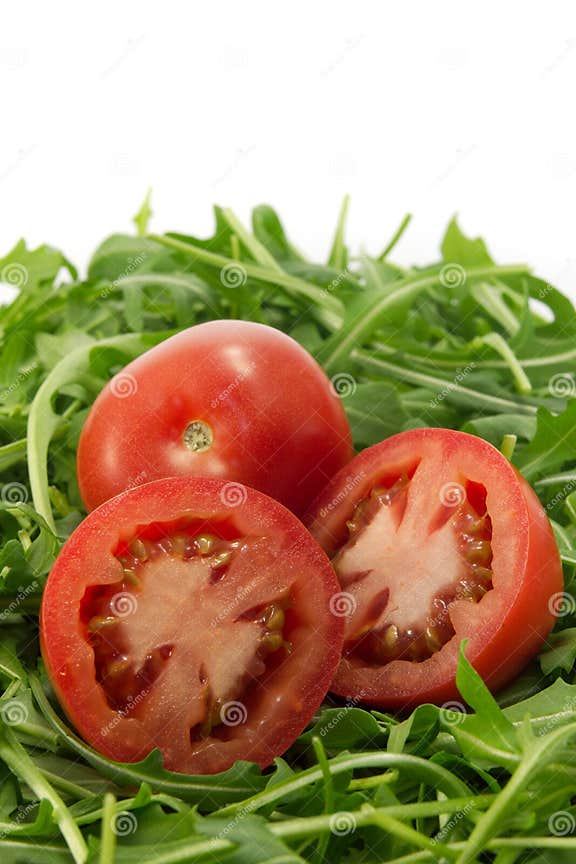 Tomatoes and rocket stock image. Image of vegetable, food - 2942475