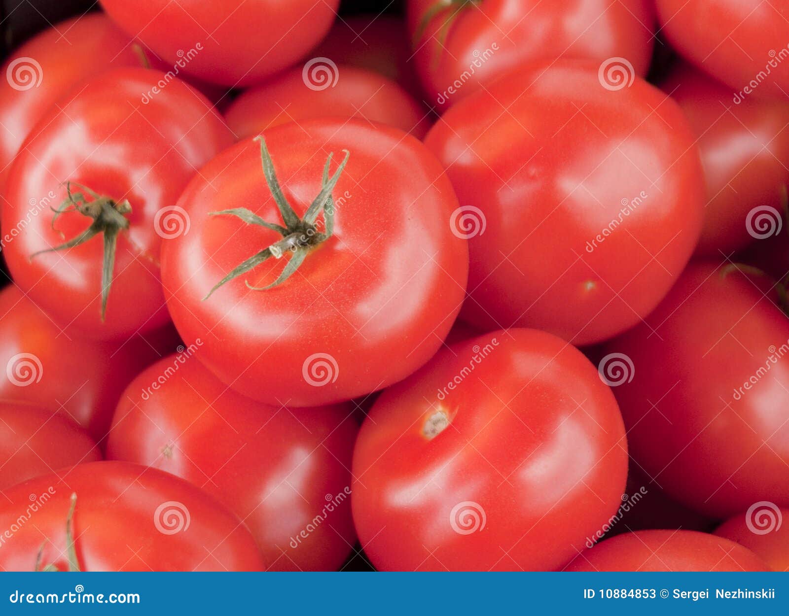 Tomatoes set eight stock image. Image of heap, tomatoes - 10884853