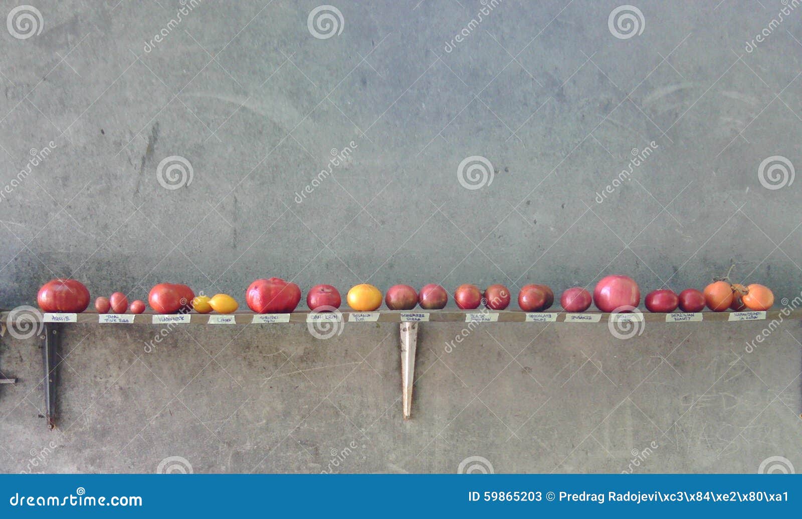 Tomatoes on shelf stock image. Image of garden, organic - 59865203