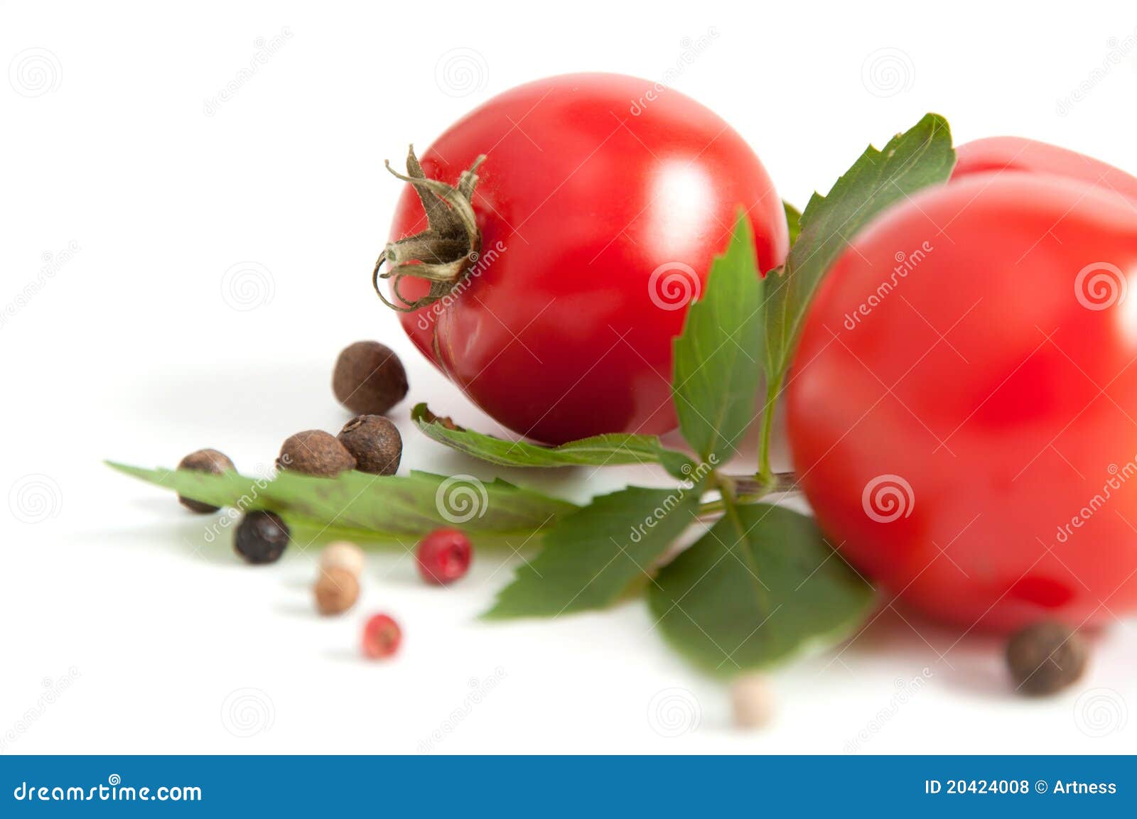Tomatoes and spices stock photo. Image of basil, spice - 20424008