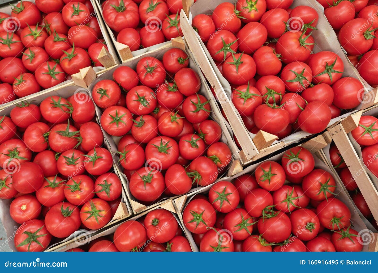 Tomatoes Top View stock image. Image of tomato, warehouse - 160916495
