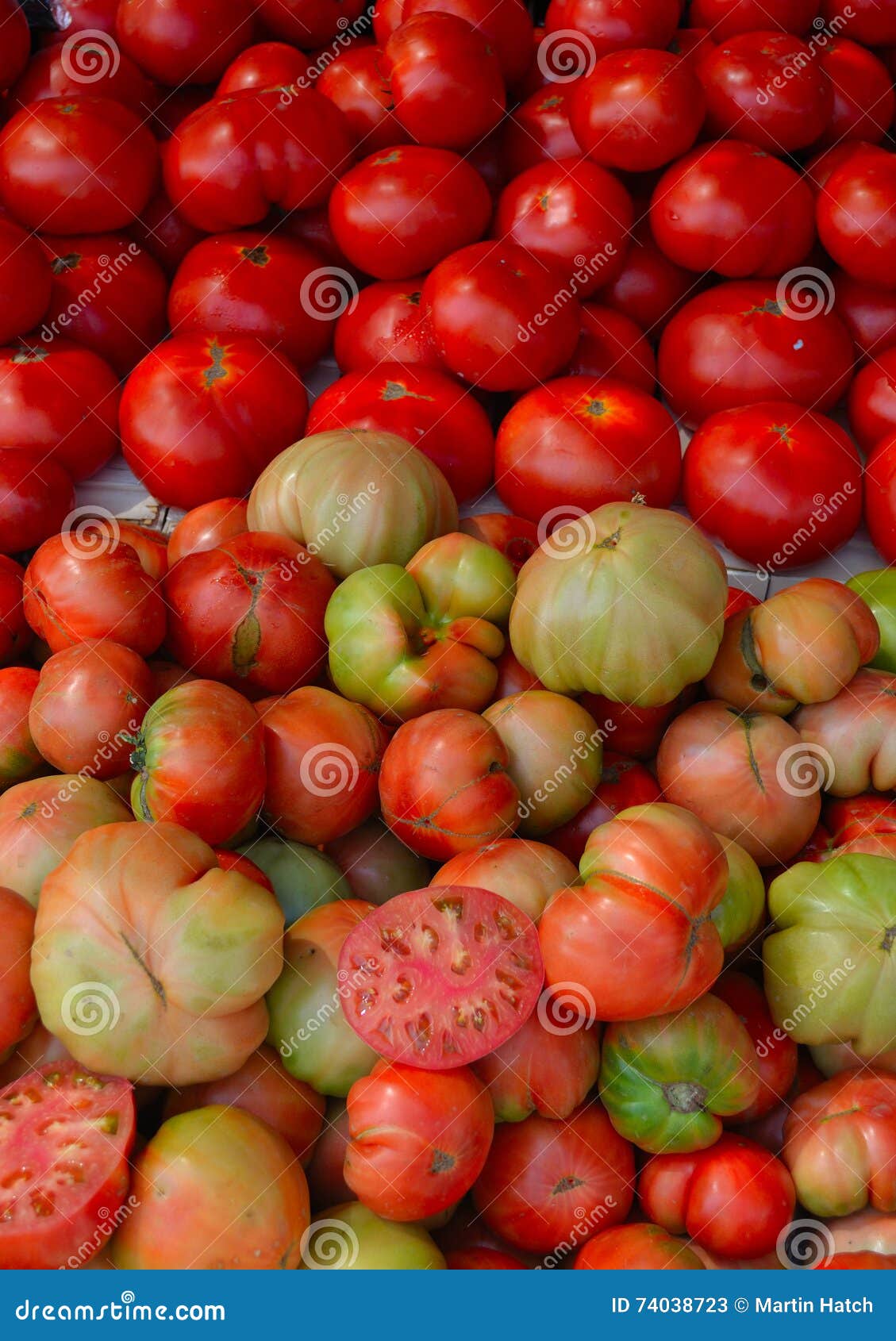 Tomatoes in Various Shapes Sizes and Colours. Stock Image - Image of ...