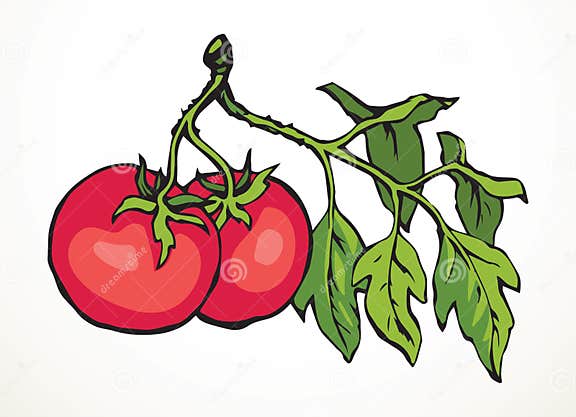 Tomatoes. Vector Drawing Icon Sign Stock Illustration - Illustration of ...
