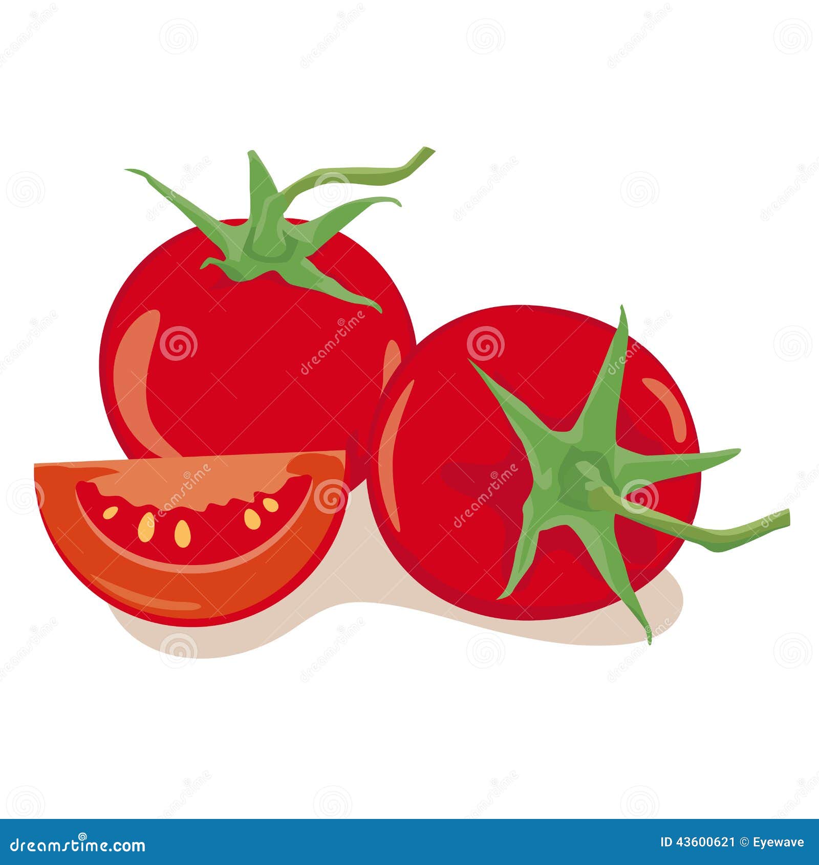 Tomatoes Vector Illustration Stock Vector - Illustration of agriculture ...