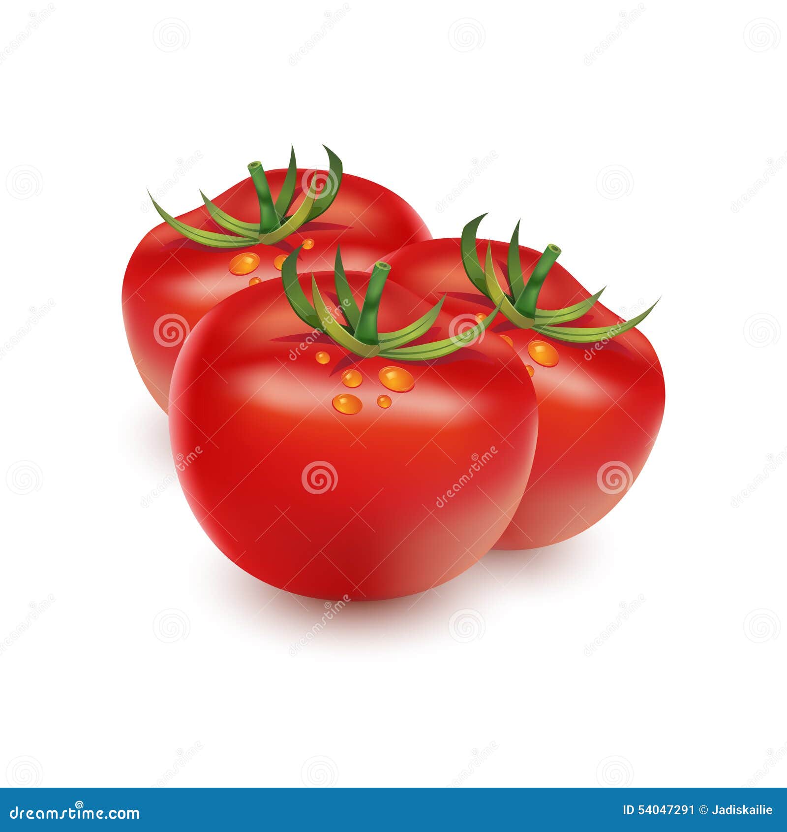 3 tomatoes stock vector. Illustration of three, colorful - 54047291