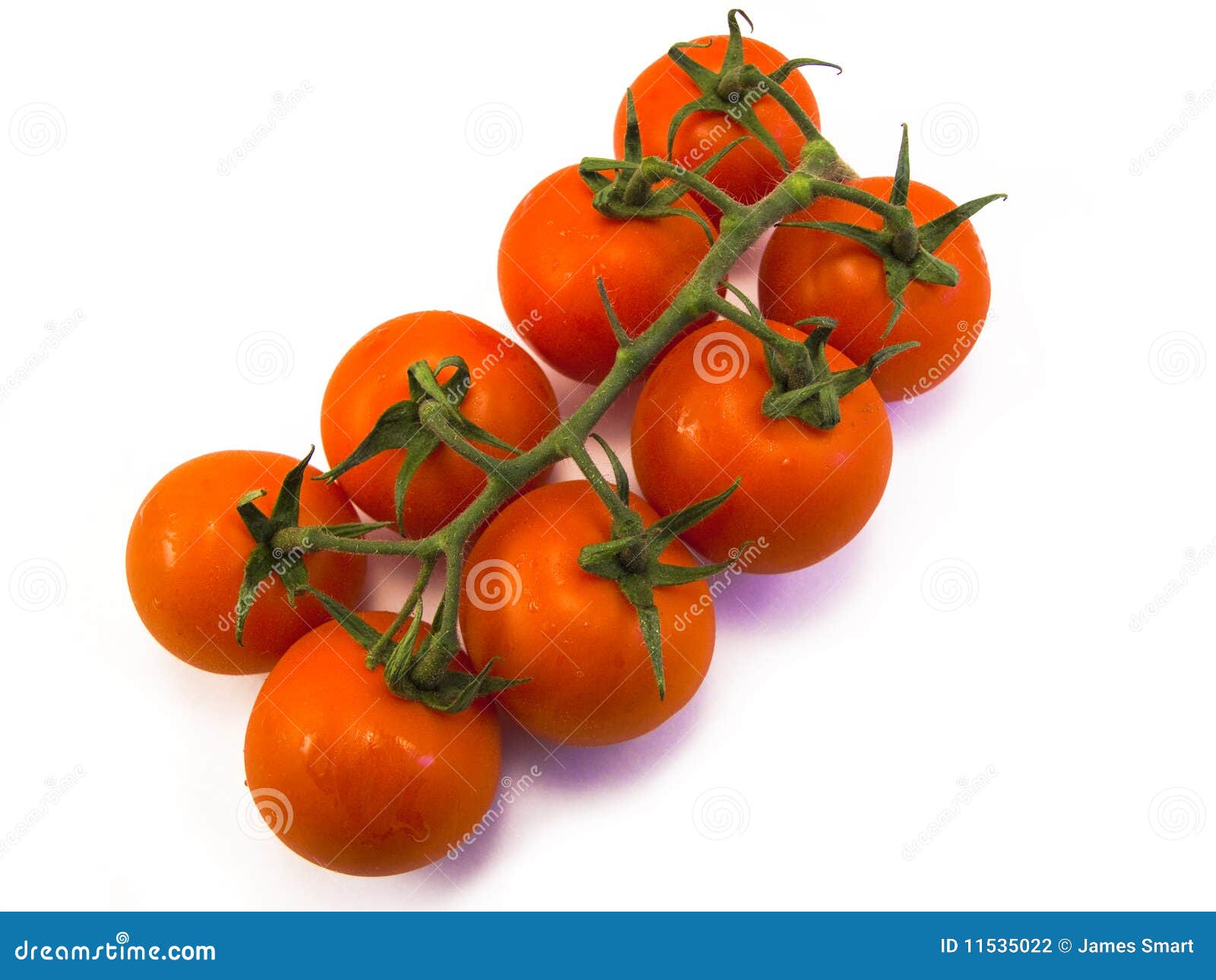 Tomatoes on a vine stock photo. Image of food, closeup - 11535022