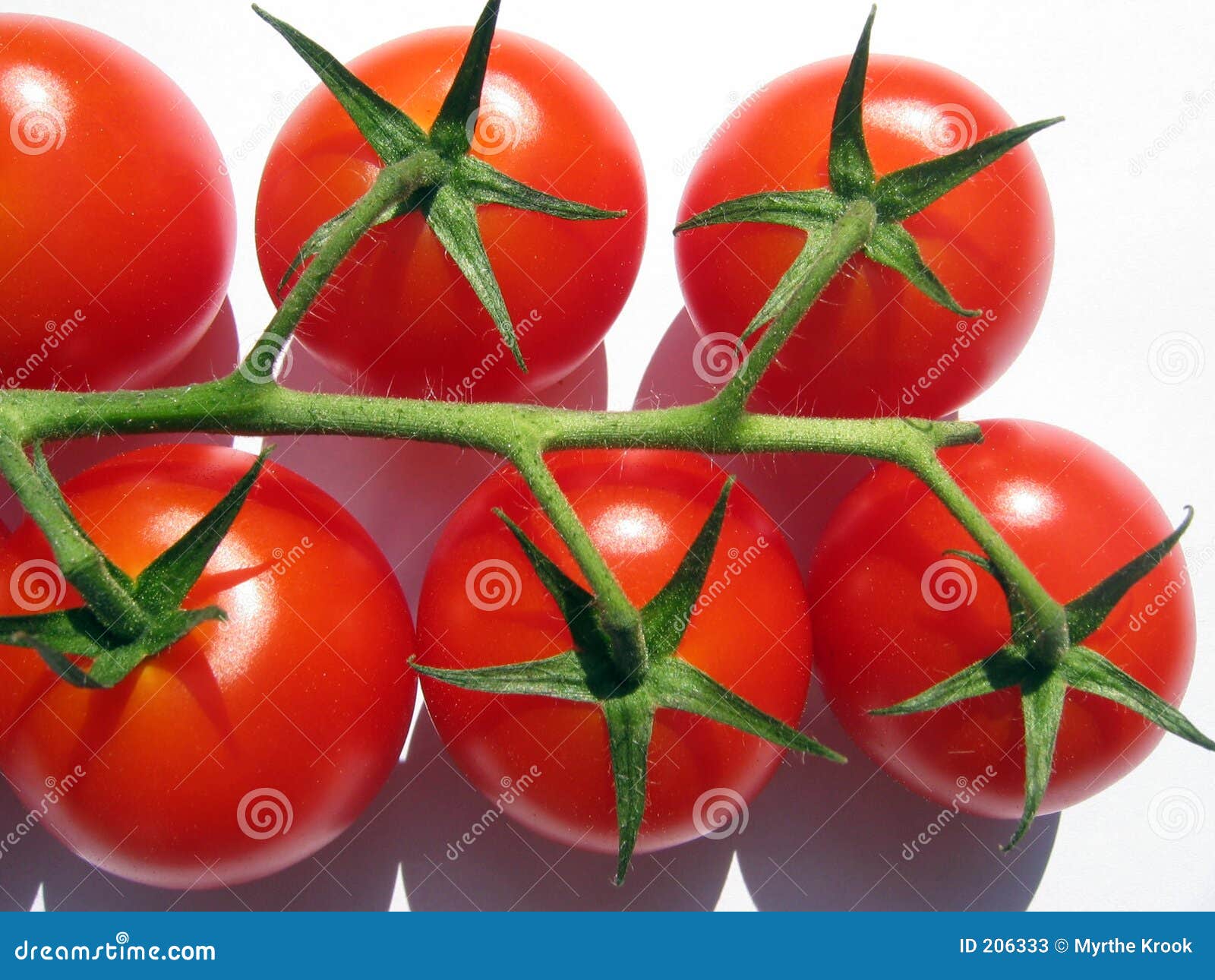 Tomatoes on the vine stock image. Image of ingredient, flavor - 206333