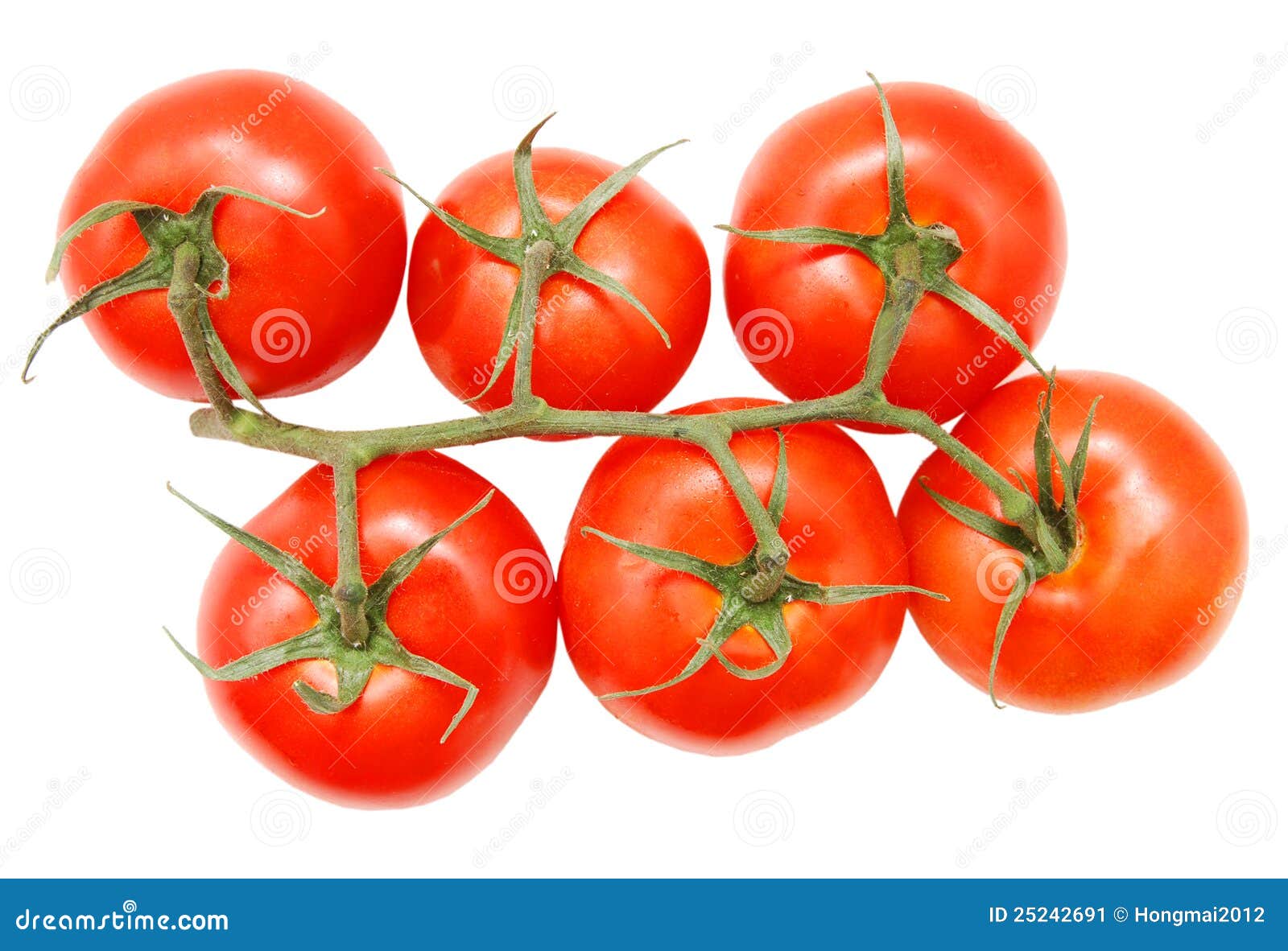 Tomatoes on the vine stock image. Image of juicy, objects - 25242691