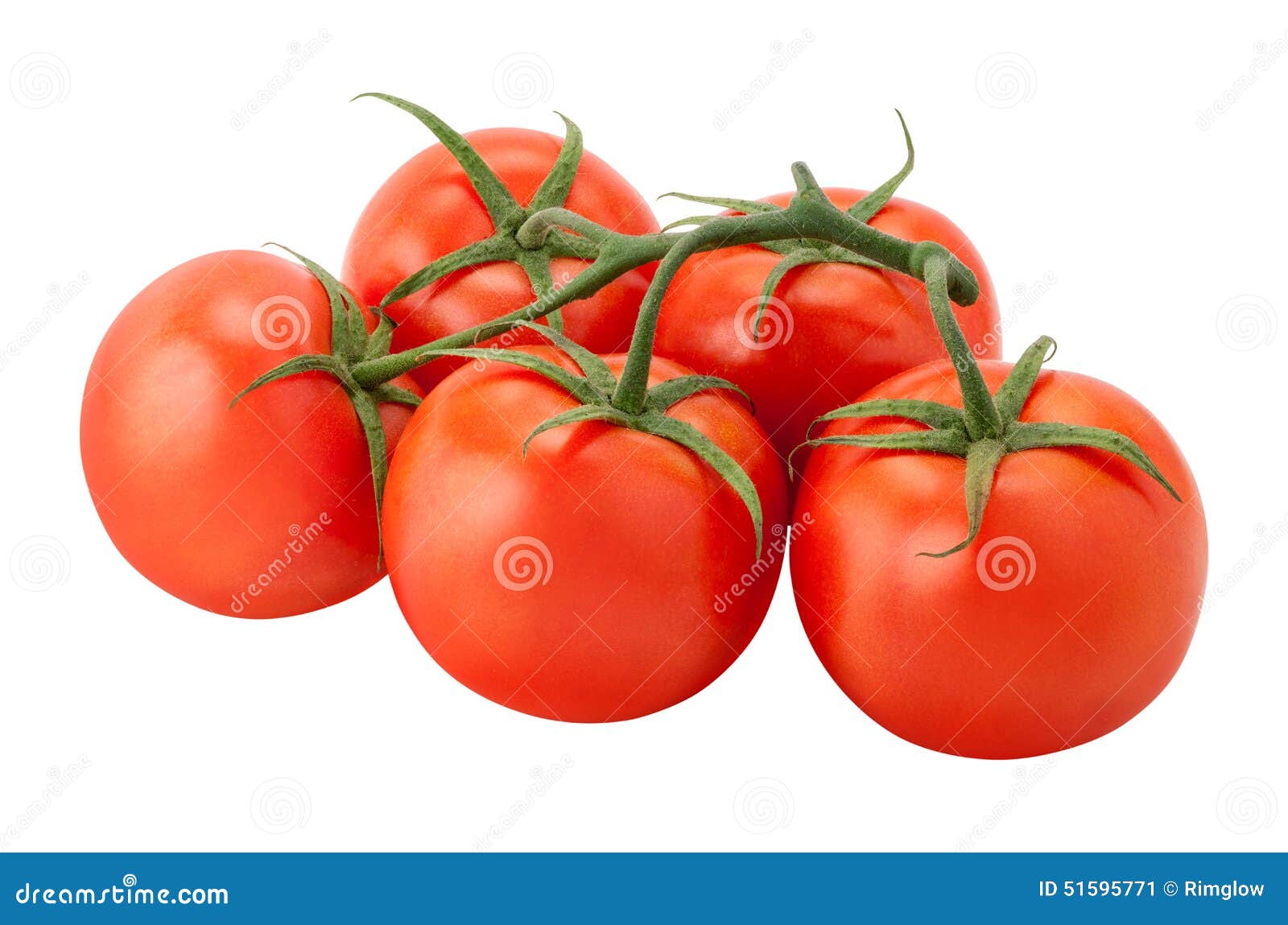 Tomatoes on the Vine Isolated Stock Image - Image of path, healthy ...