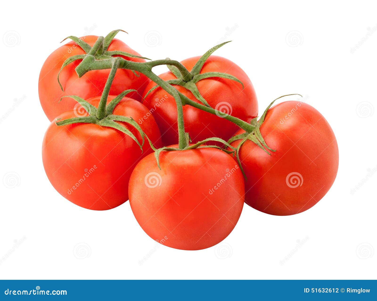 Tomatoes on the Vine Isolated Stock Photo - Image of shot, cutout: 51632612