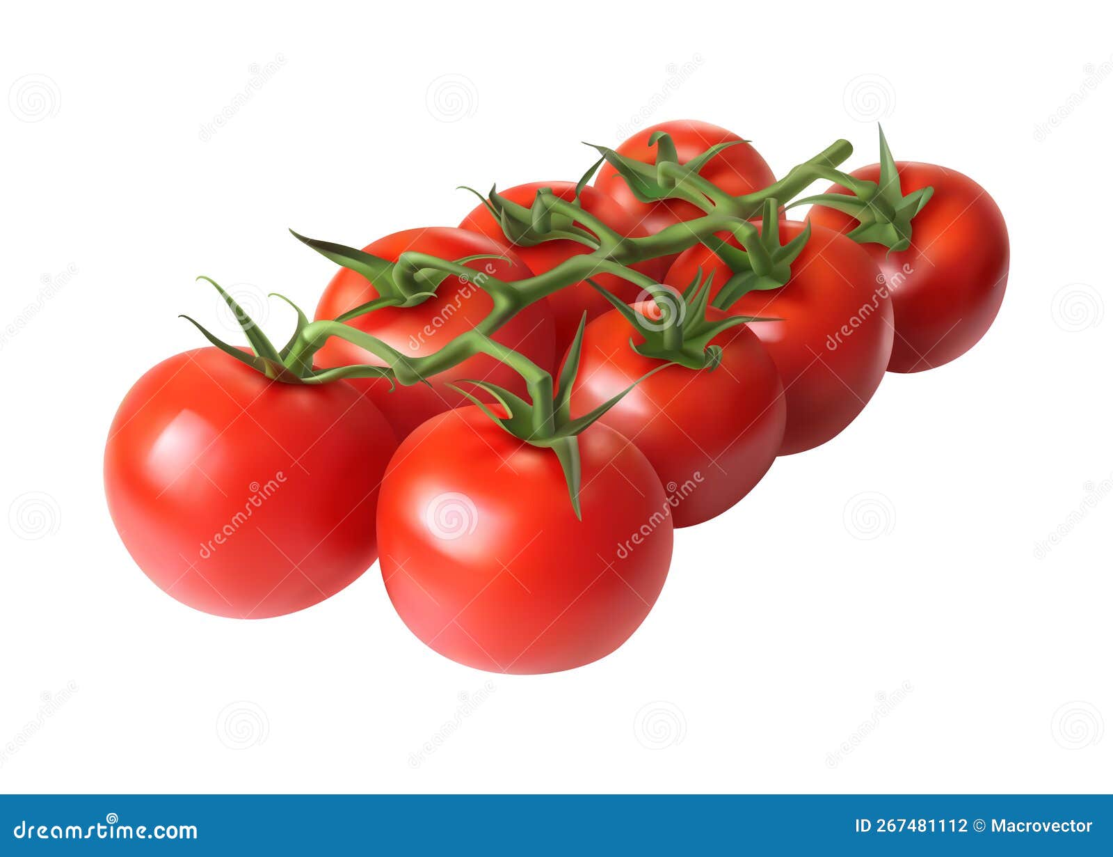 Tomatoes on Vine Composition Stock Vector - Illustration of abstract ...