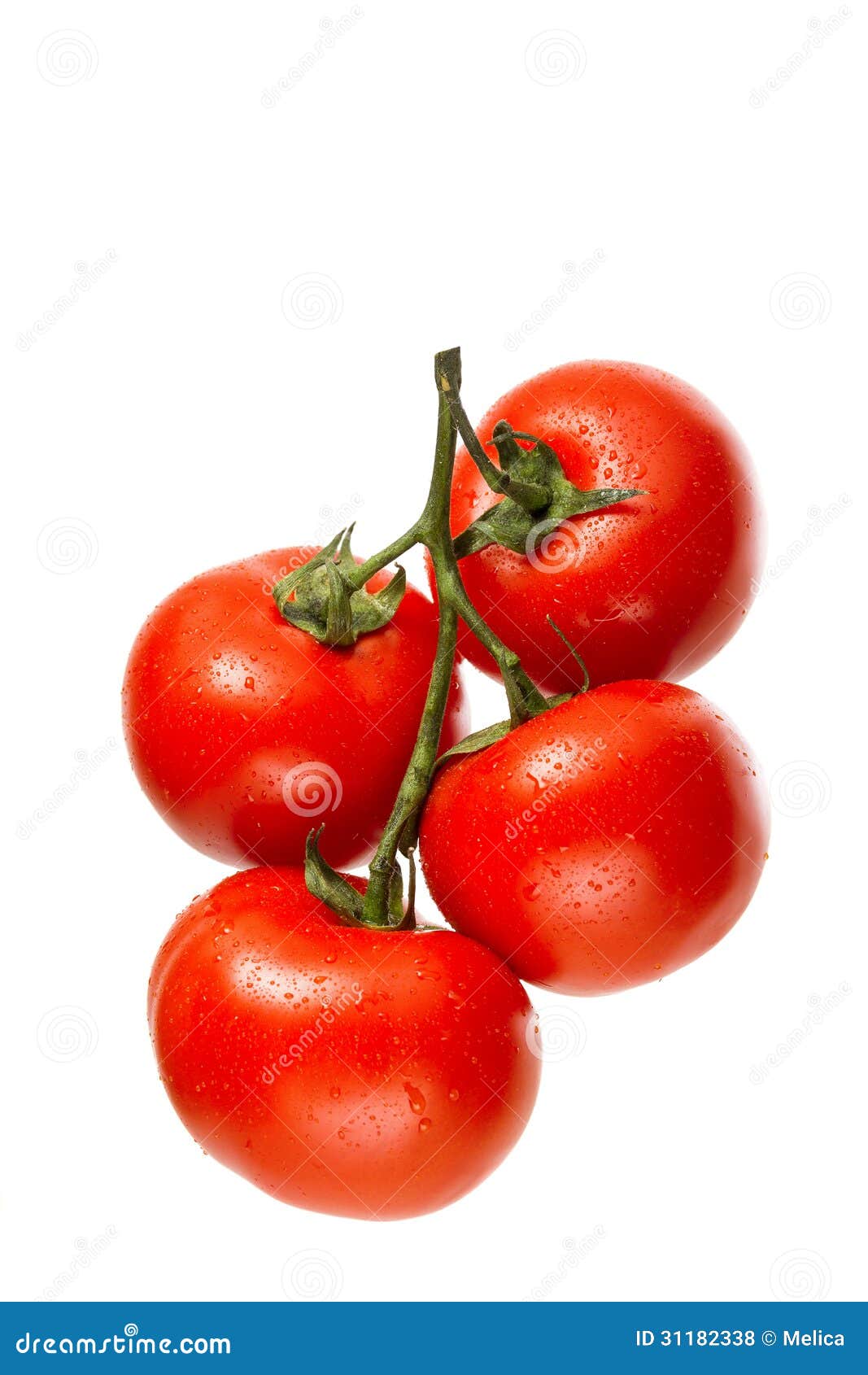 Tomatoes on the vine stock photo. Image of isolated, diet - 31182338