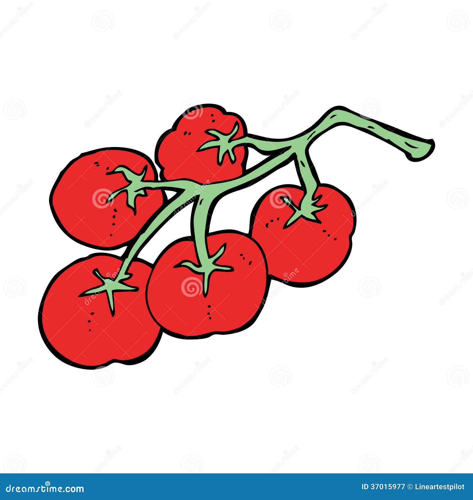 Tomatoes on Vine Illustration Stock Vector - Illustration of cute ...