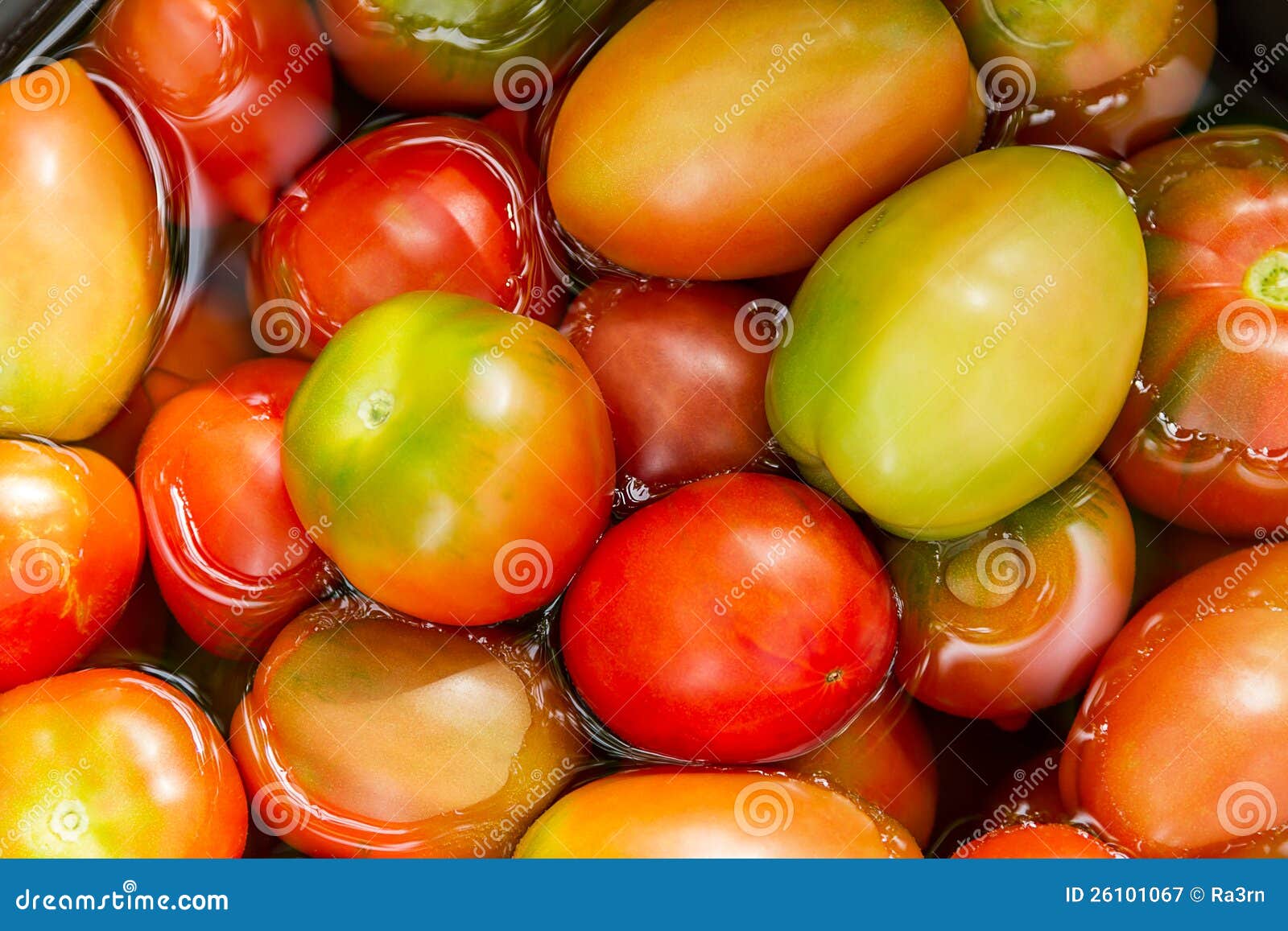 Tomatoes in the water stock image. Image of vegetarian - 26101067