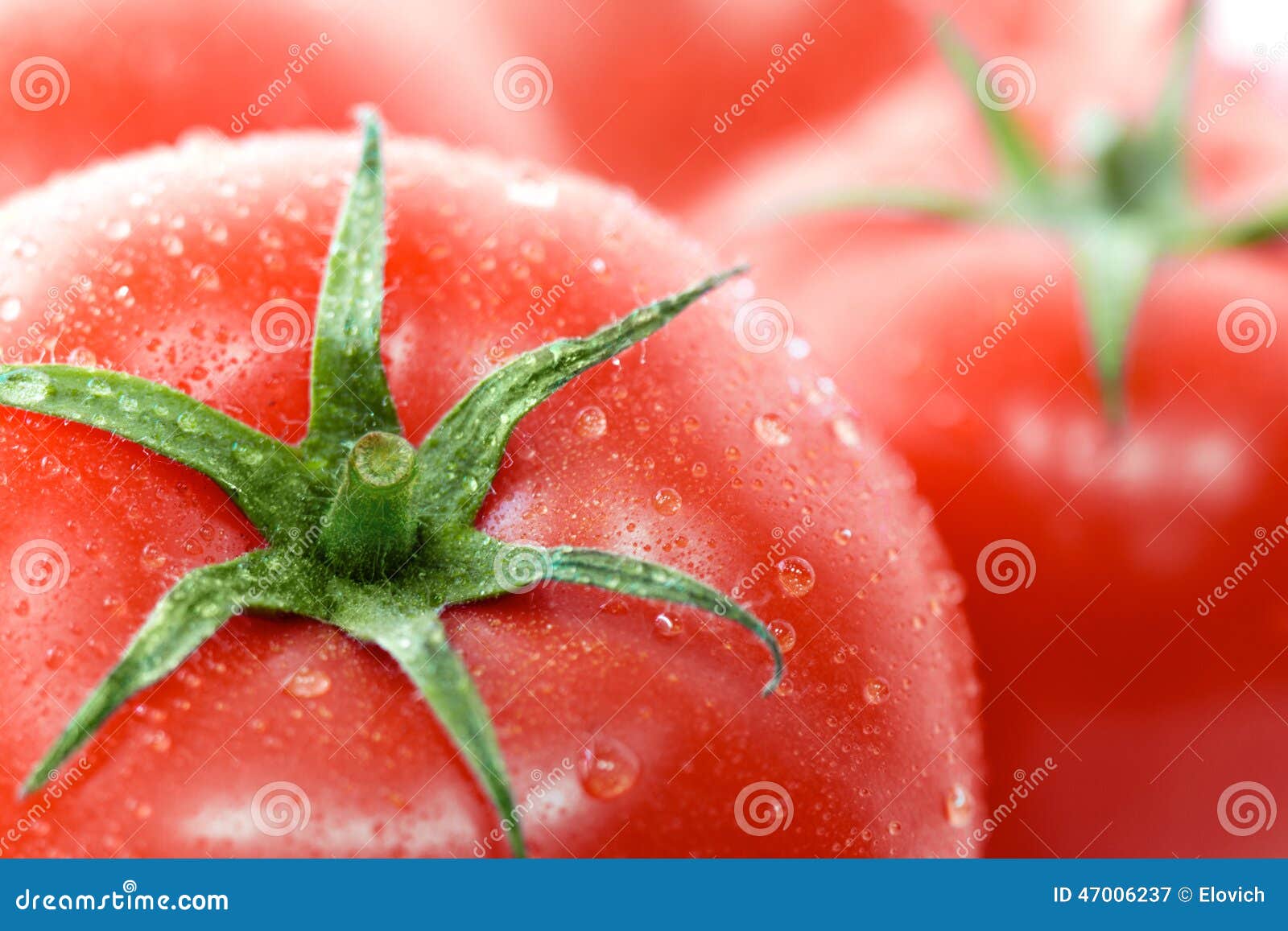 Tomatoes with water drops stock image. Image of drops - 47006237