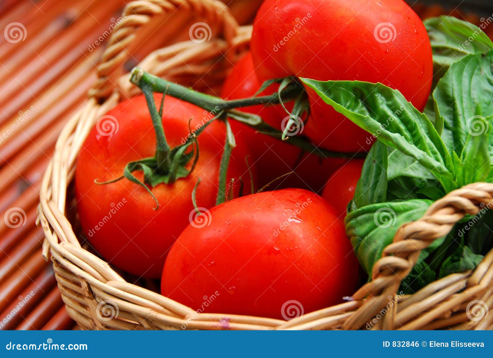 Tomatos and basil stock photo. Image of fresh, herbs, life - 832846