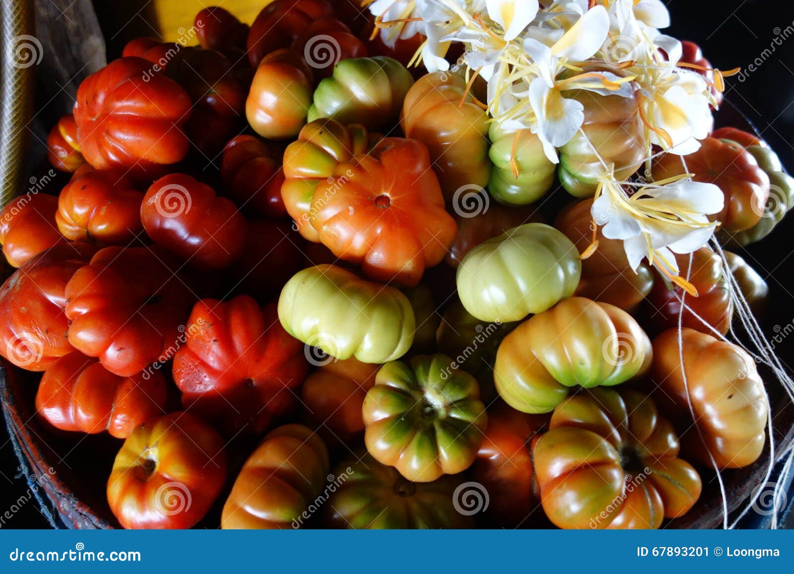Tomatos stock image. Image of good, flower, fruity, indoors - 67893201