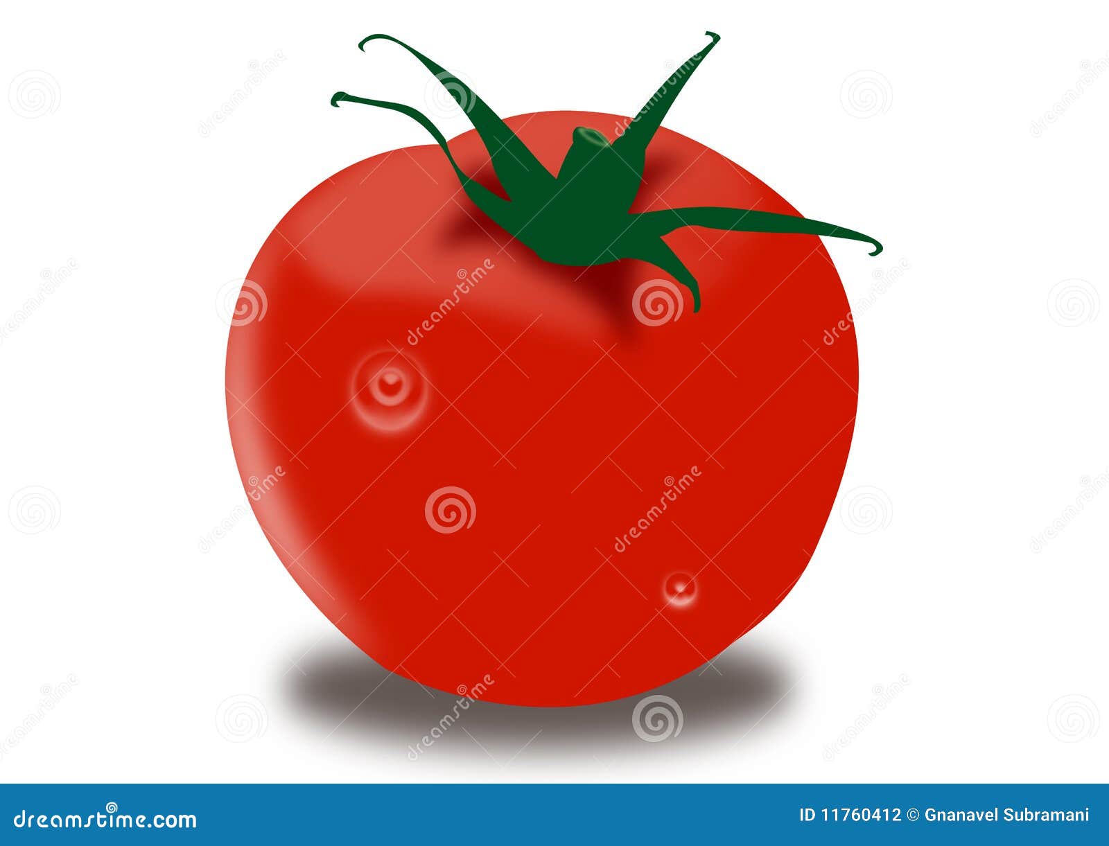 Tomatto stock illustration. Illustration of ketchup, tomato - 11760412