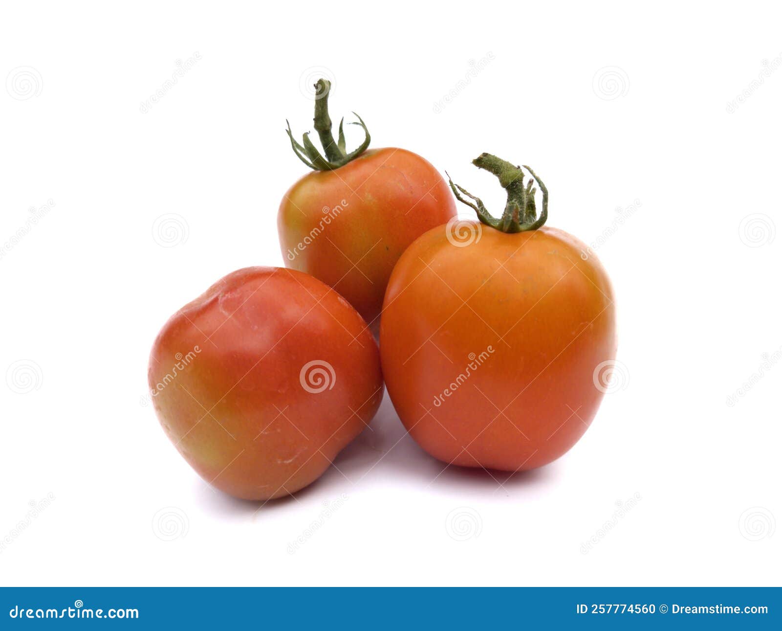 Tomatto isolated fresh stock photo. Image of tomato - 257774560