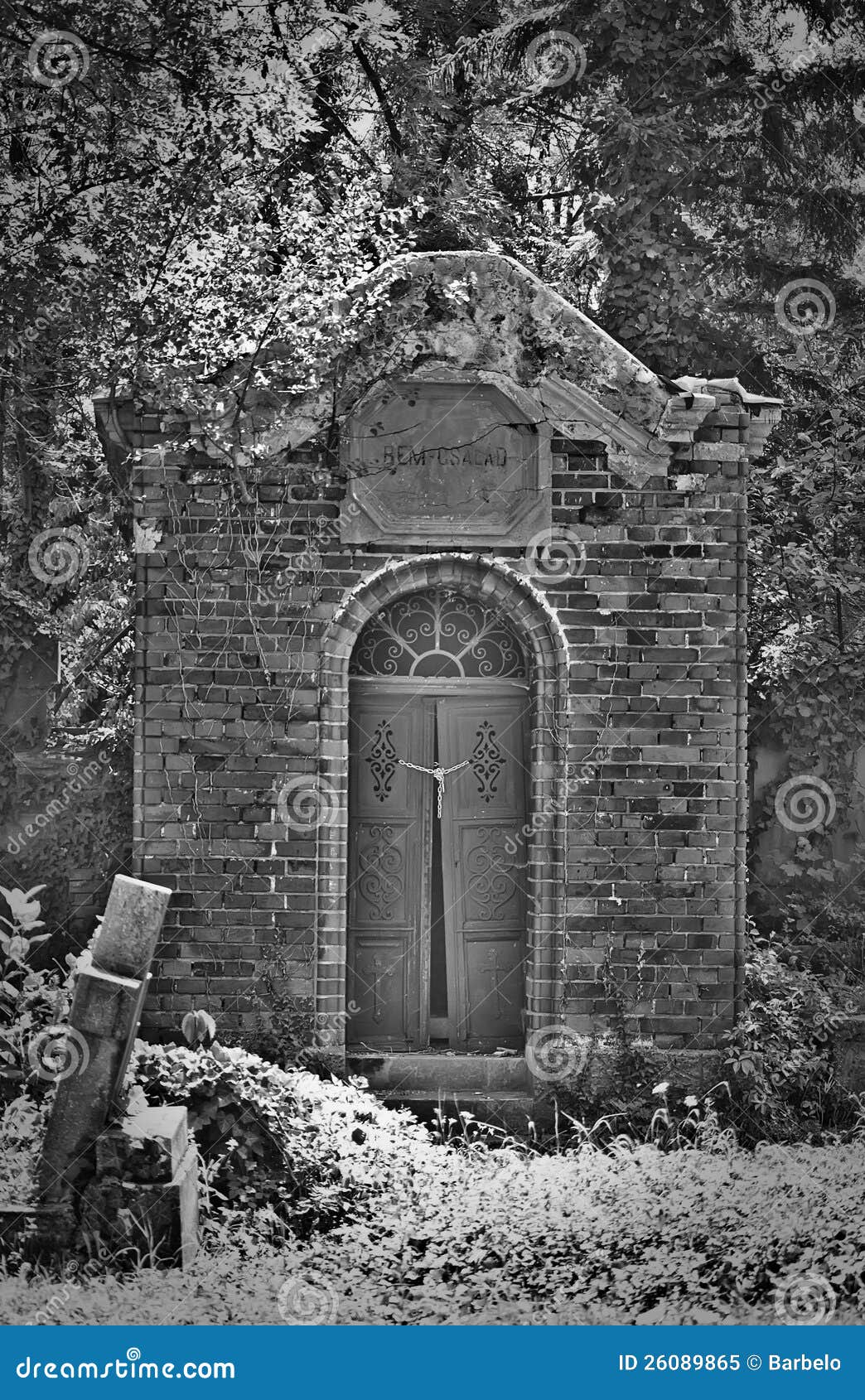 Tomb stock image. Image of grief, place, coffin, funeral - 26089865