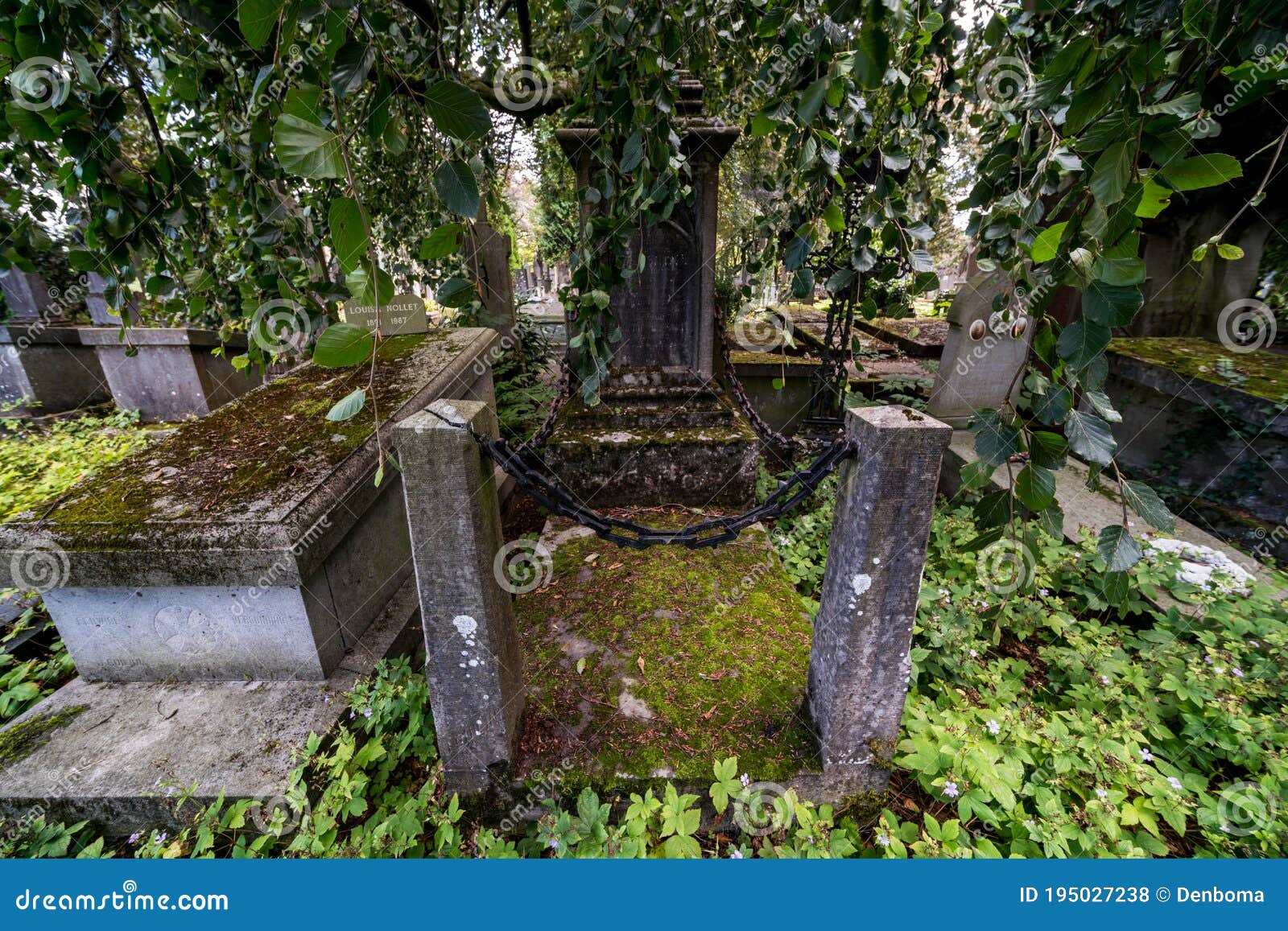 Grave with moss stock photo. Image of outdoor, bruges - 195027238