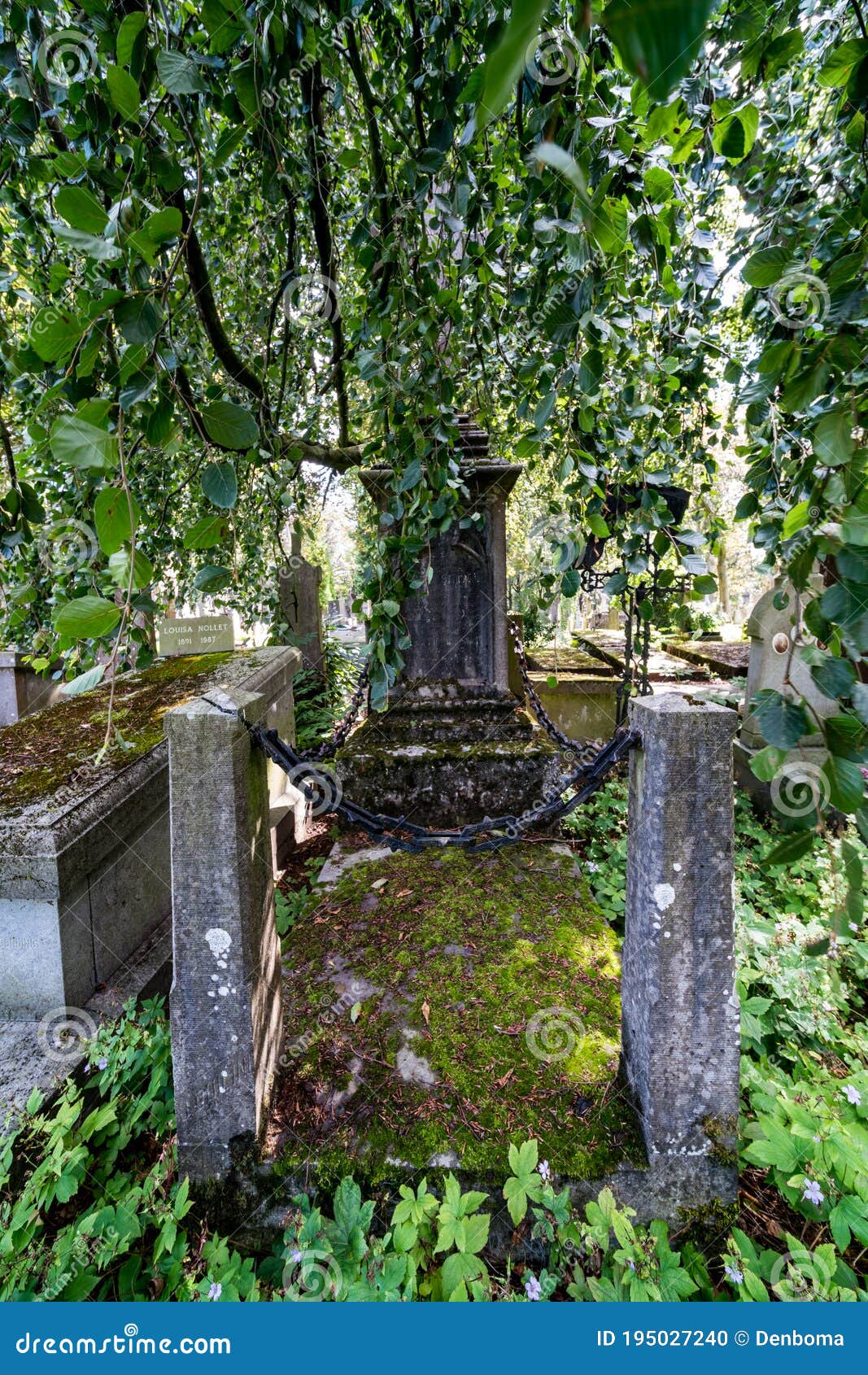 Grave with moss stock photo. Image of rusty, cemetery - 195027240