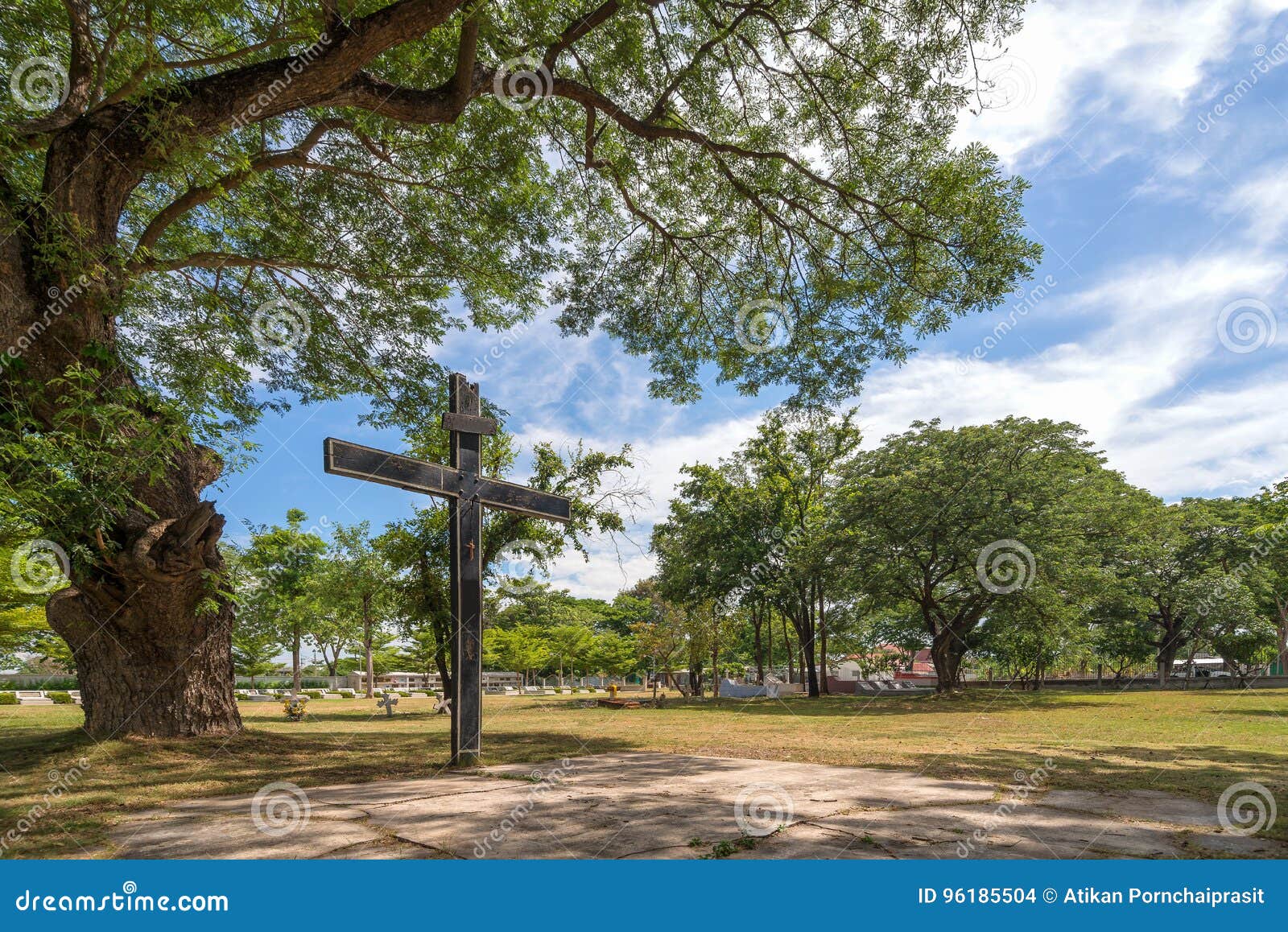 Tomb under the big tree stock photo. Image of green, graveyard - 96185504