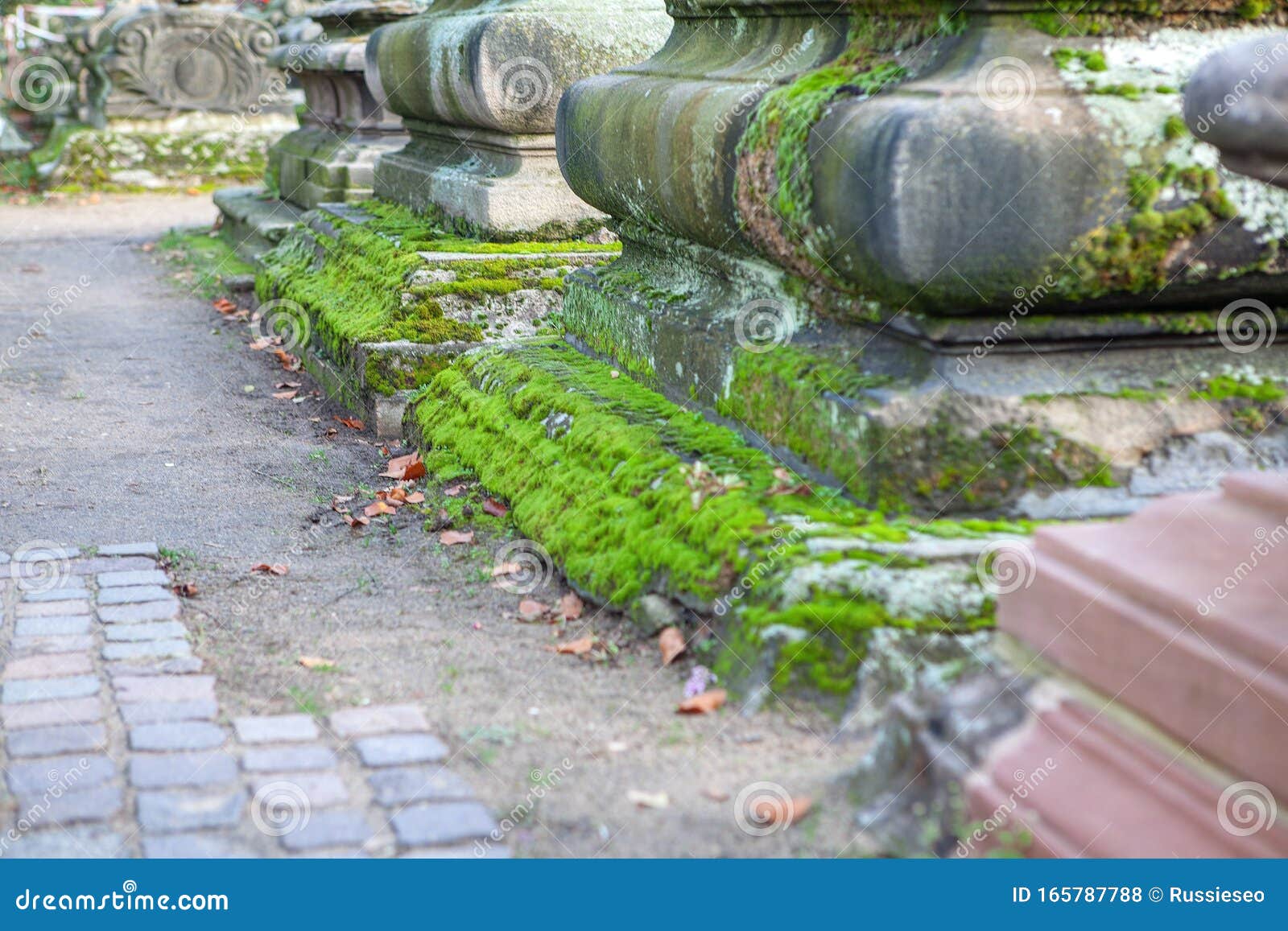 Tombs with moss stock photo. Image of grave, farewell - 165787788