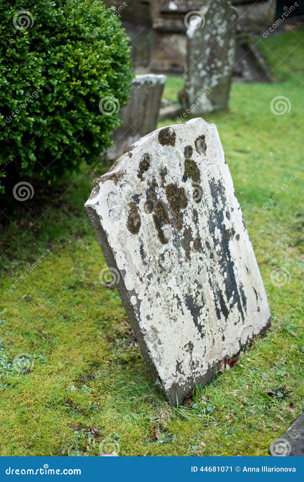 Tombstone on a cemetery stock image. Image of tombstone - 44681071