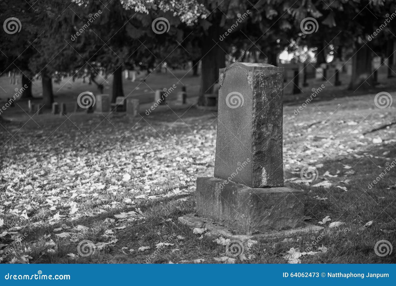 Tombstone and Graves in Graveyard Landscape,black and White. Stock ...
