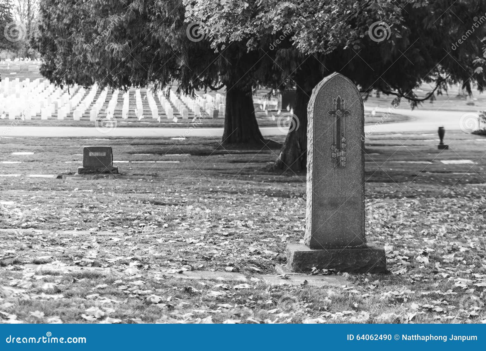 Tombstone and Graves in Graveyard Landscape,black and White. Stock ...