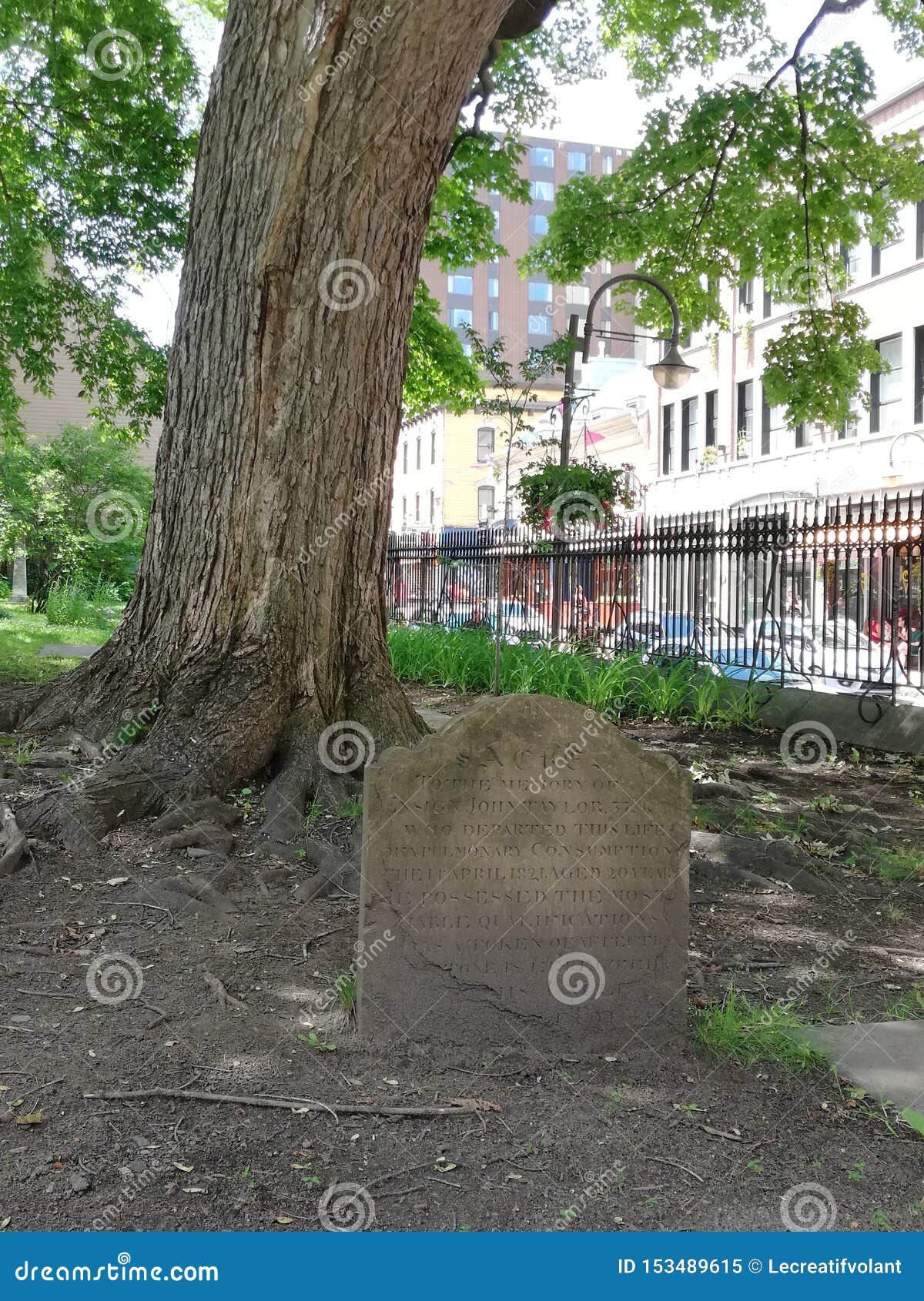 Tombstone Gravestone and Tree Editorial Image - Image of tree ...