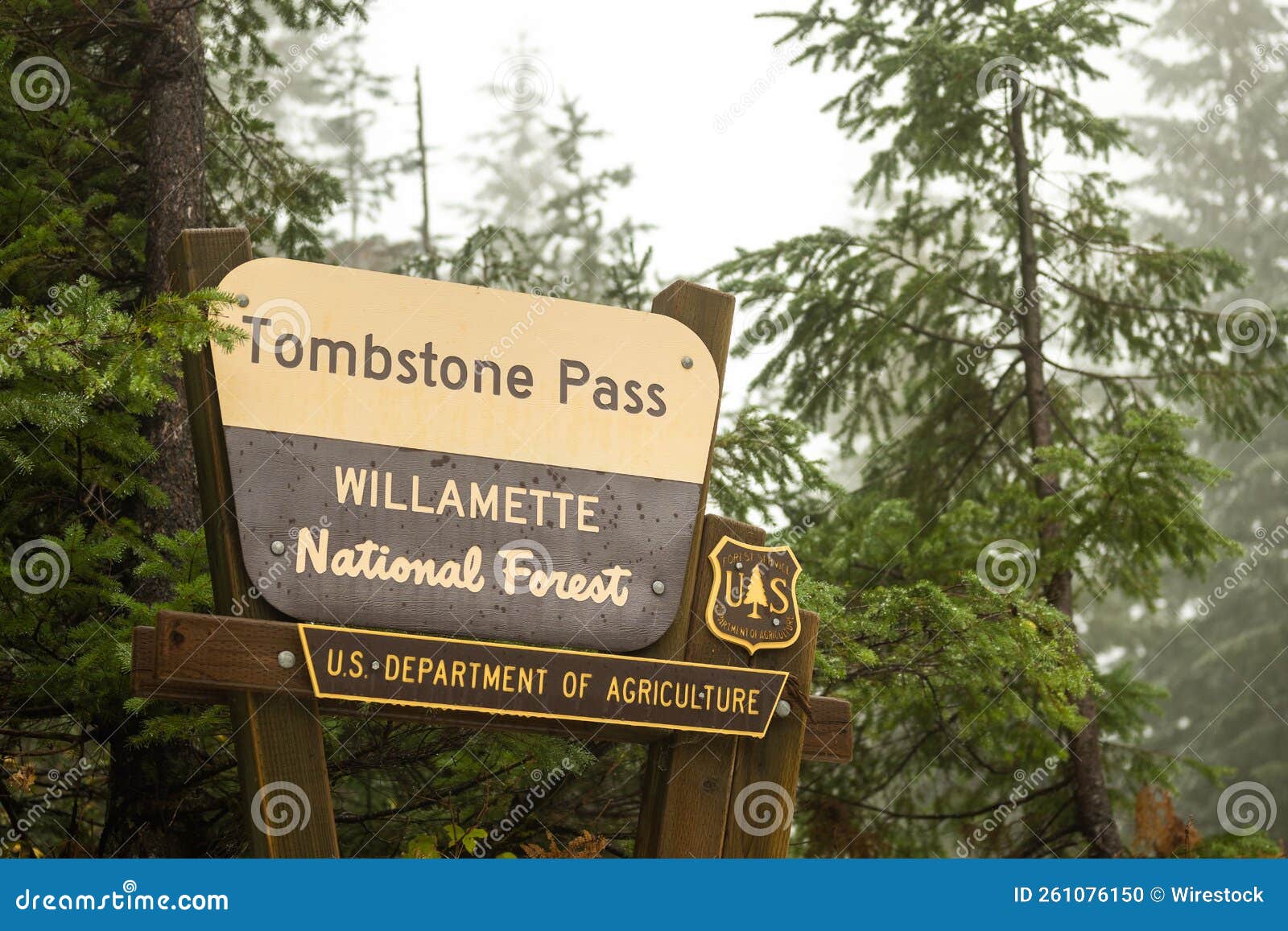 Tombstone Pass Surrounded by Trees on a Rainy Day in the Willamette ...