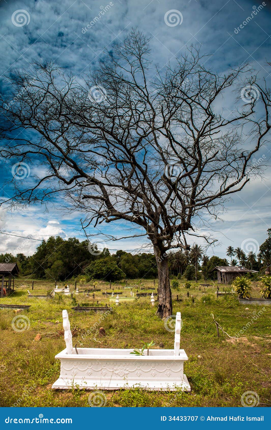 A Tombstone Under A Dying Tree Stock Image - Image of dying, landscape ...