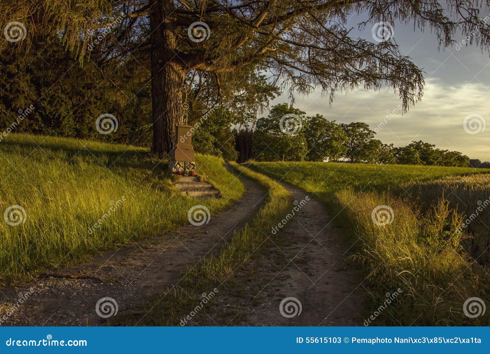 Tombstone Under Tree stock image. Image of house, meadow - 55615103