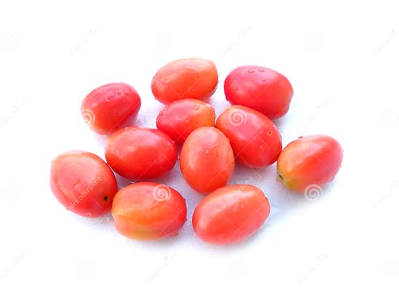 Tometo with water drop stock image. Image of vegetable - 62869173