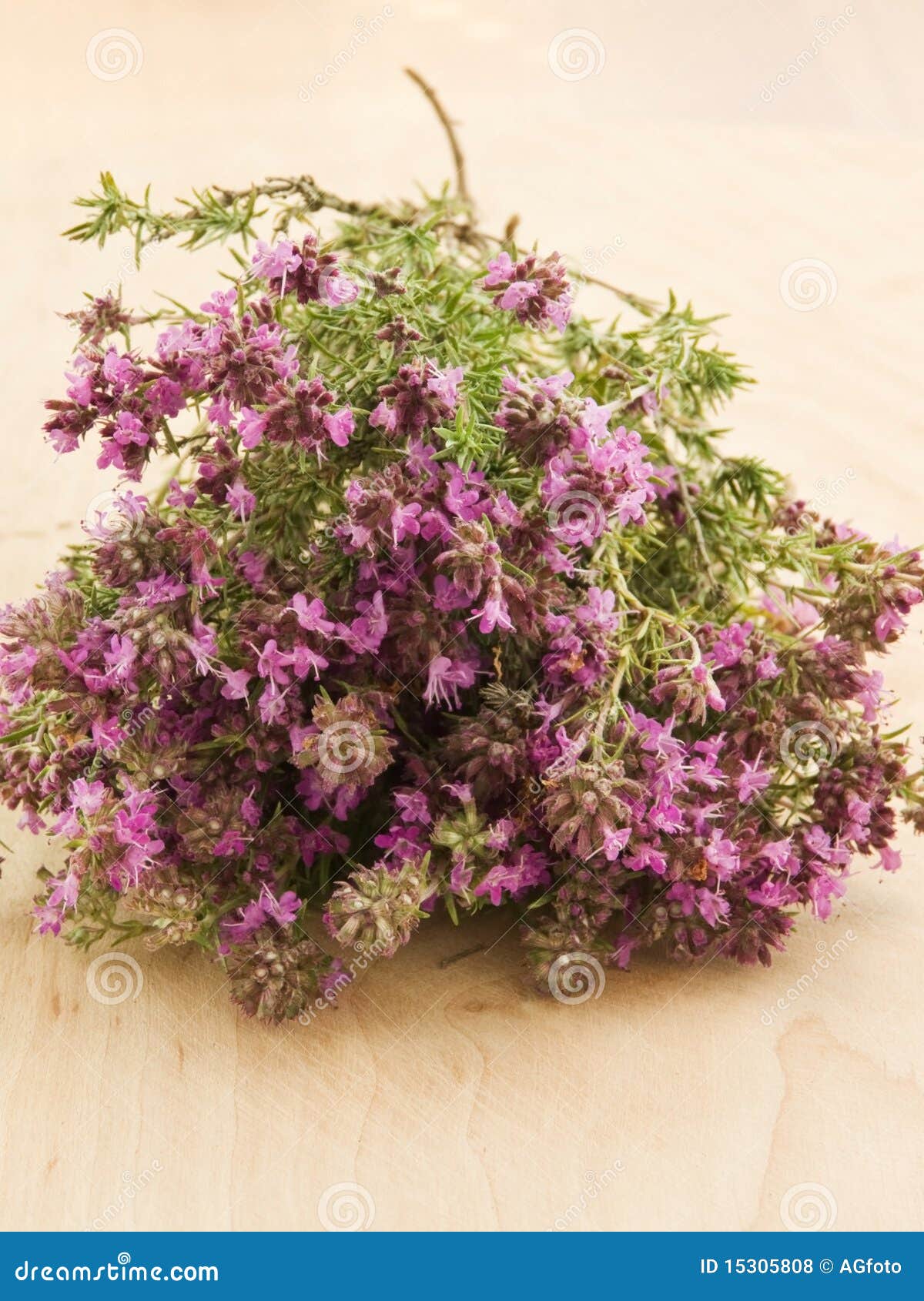 Tomillo foto de archivo. Imagen de verde, planta, ingrediente - 15305808