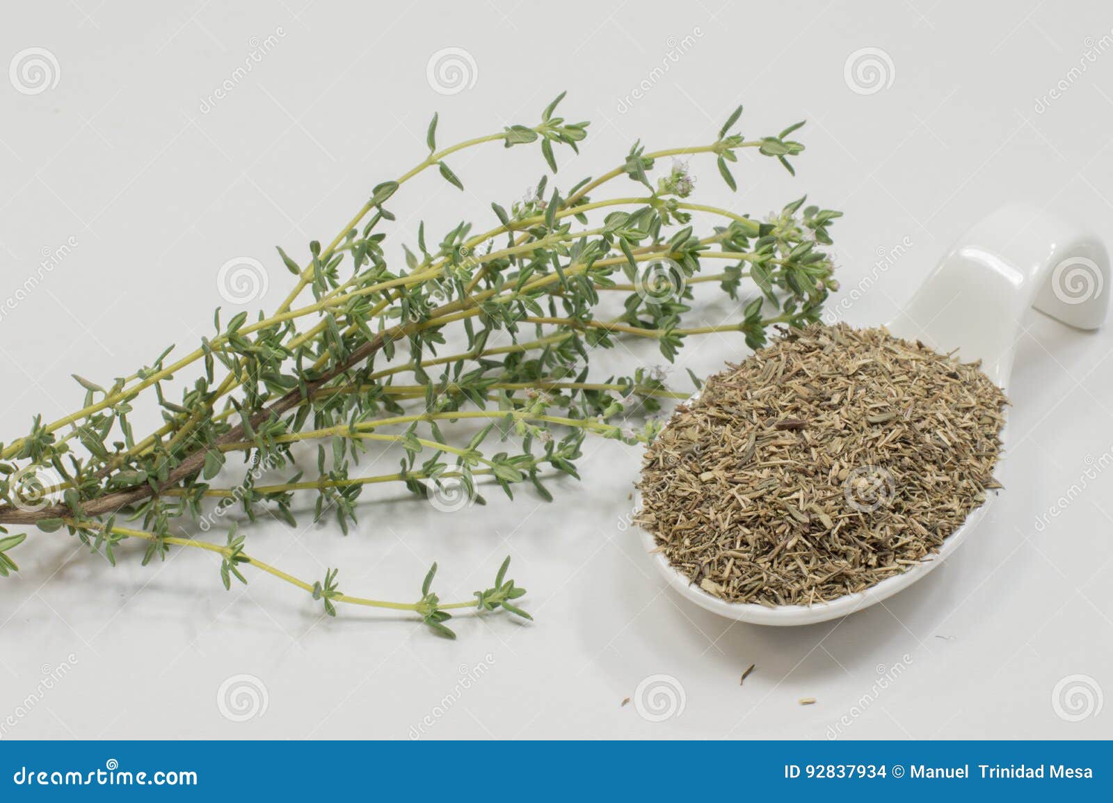 Tomillo Fresco Y Tomillo Seco Foto de archivo - Imagen de secado ...