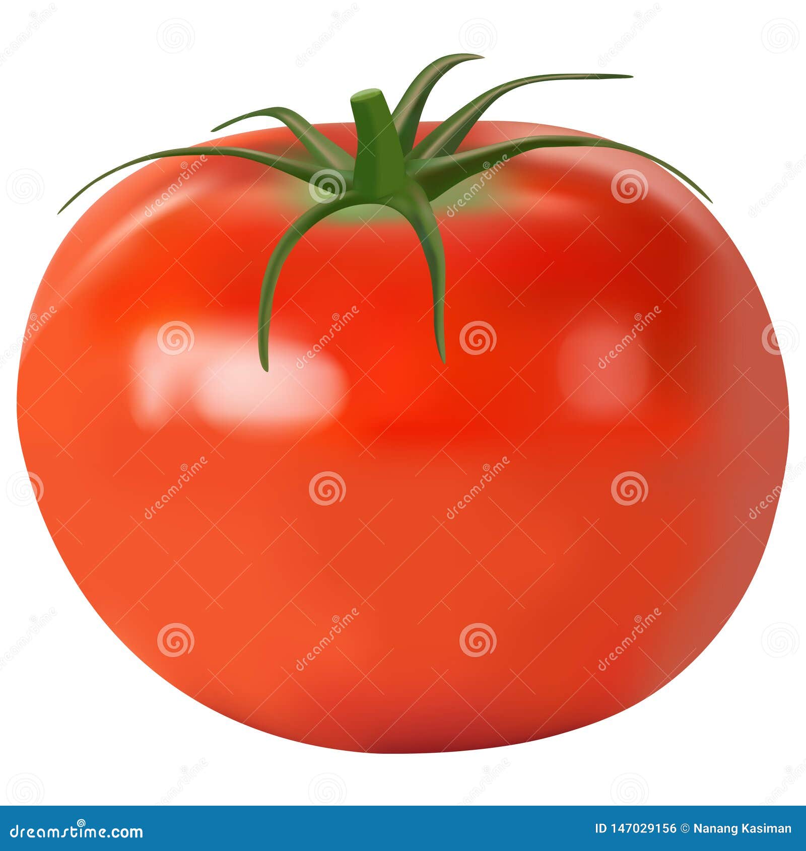 Tomato Realistic. Vector Illustration Stock Vector - Illustration of ...