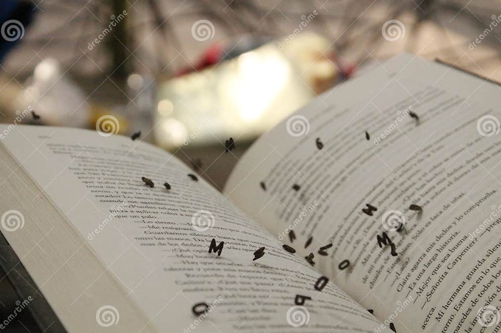 The Passion of Wisdom stock photo. Image of hand, pattern - 189113054