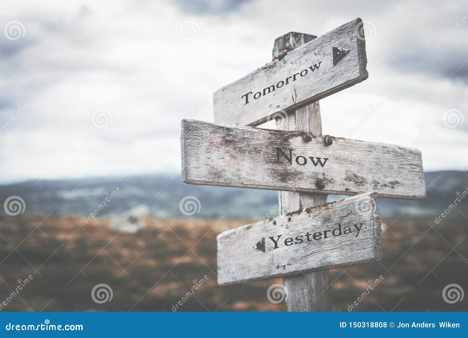 Tomorrow, Now, Yesterday Signpost in Nature. Stock Photo - Image of ...