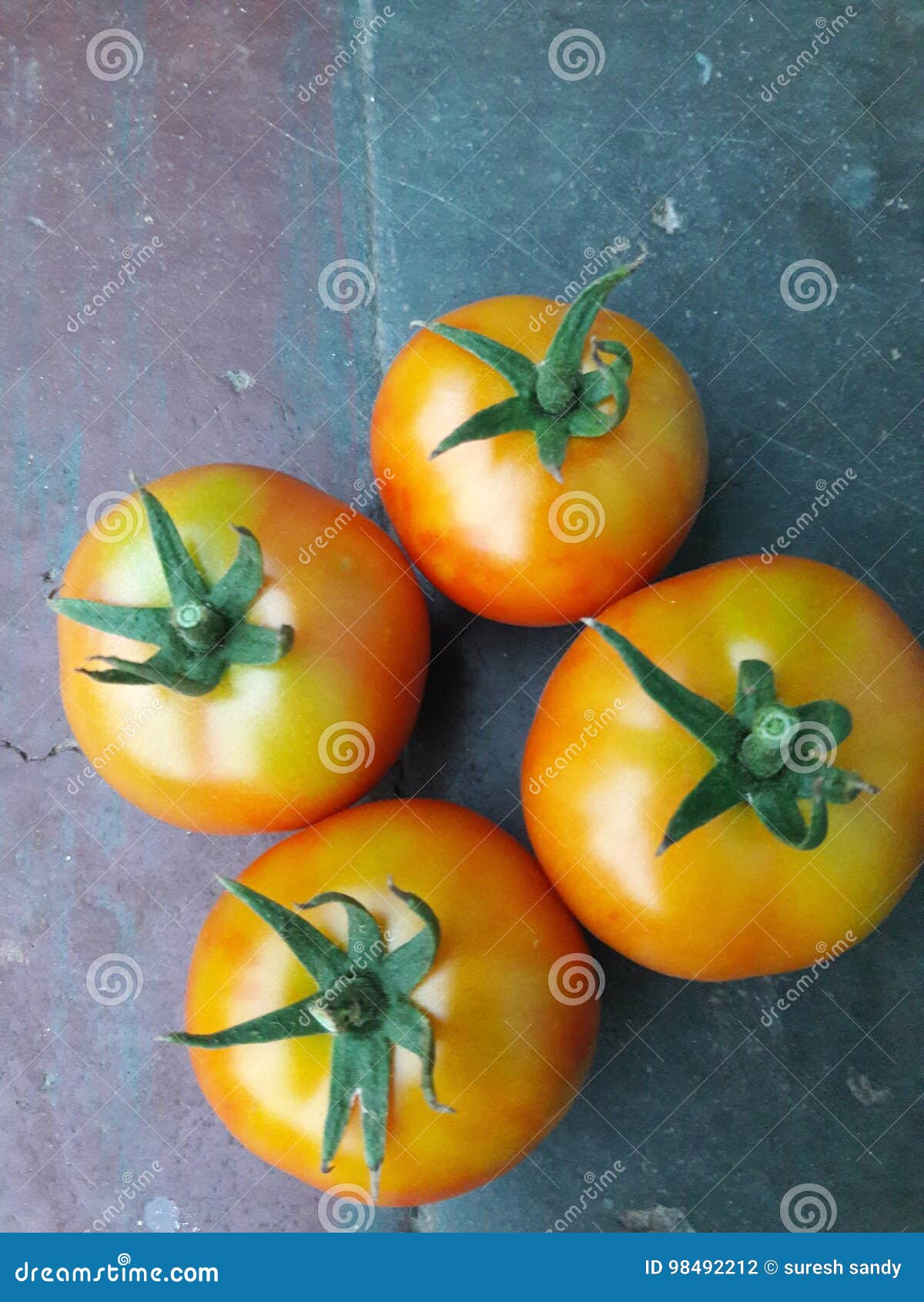 Native Tomotos Stock Photos - Free & Royalty-Free Stock Photos from ...