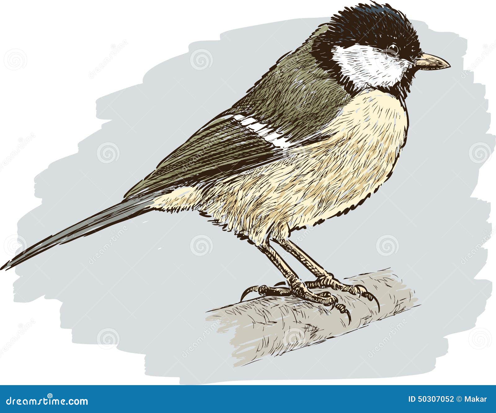 Tomtit illustration de vecteur. Illustration du arrière - 50307052