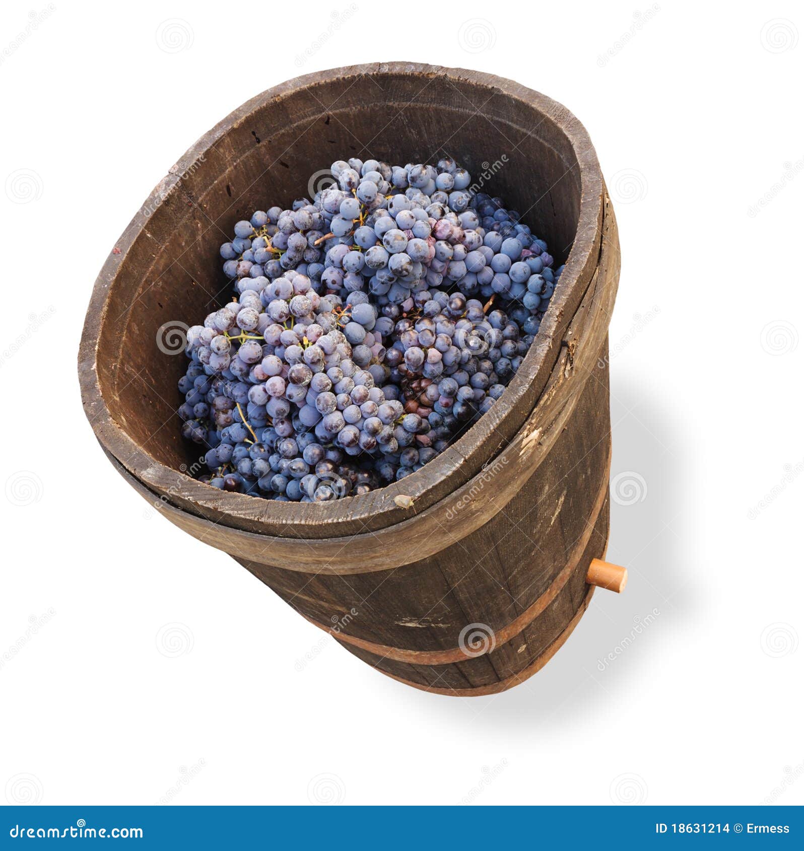 Ton Met Druiven - Het Knippen Weg Stock Foto - Image of vaatje, druif ...