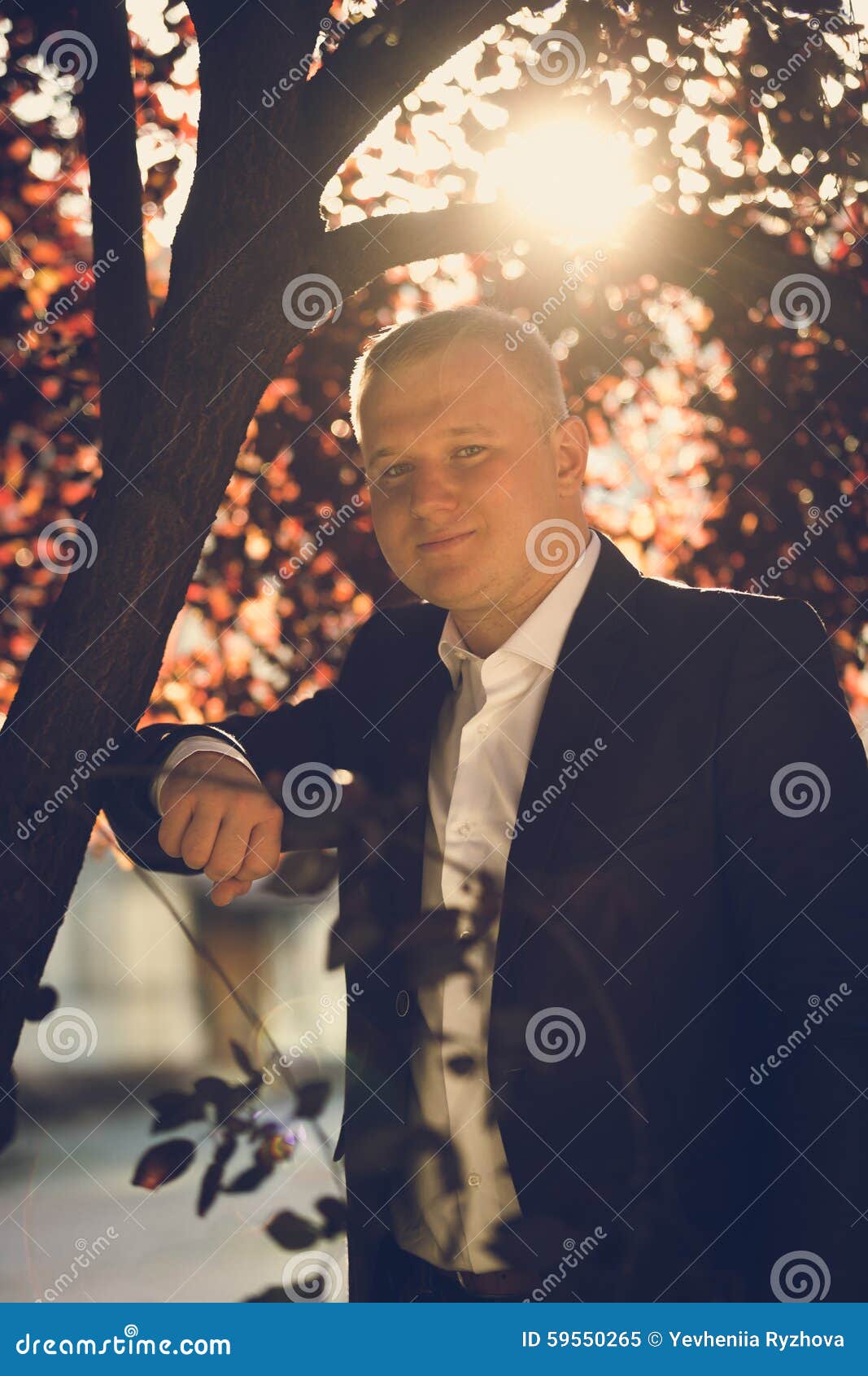 Toned Portrait of Man in Suit Posing Under Tree at Sunny Day Stock ...