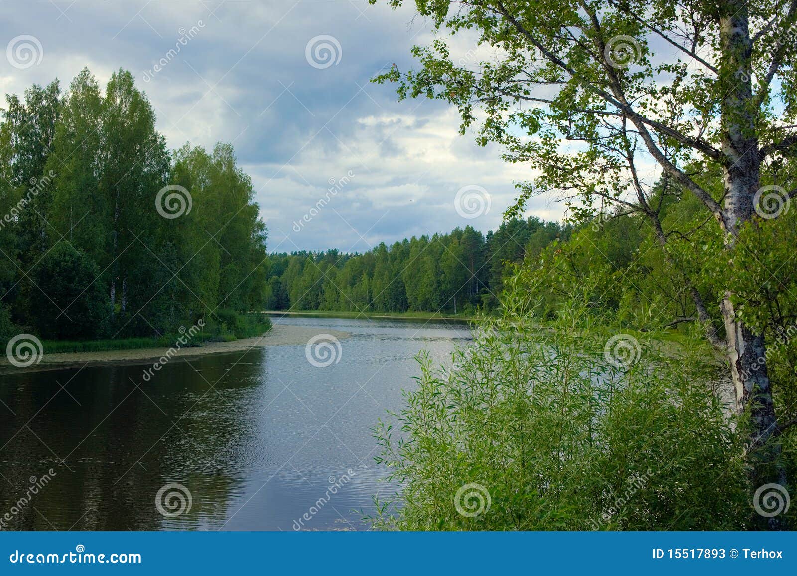 Toneel bos en rivier stock afbeelding. Image of waterweg - 15517893