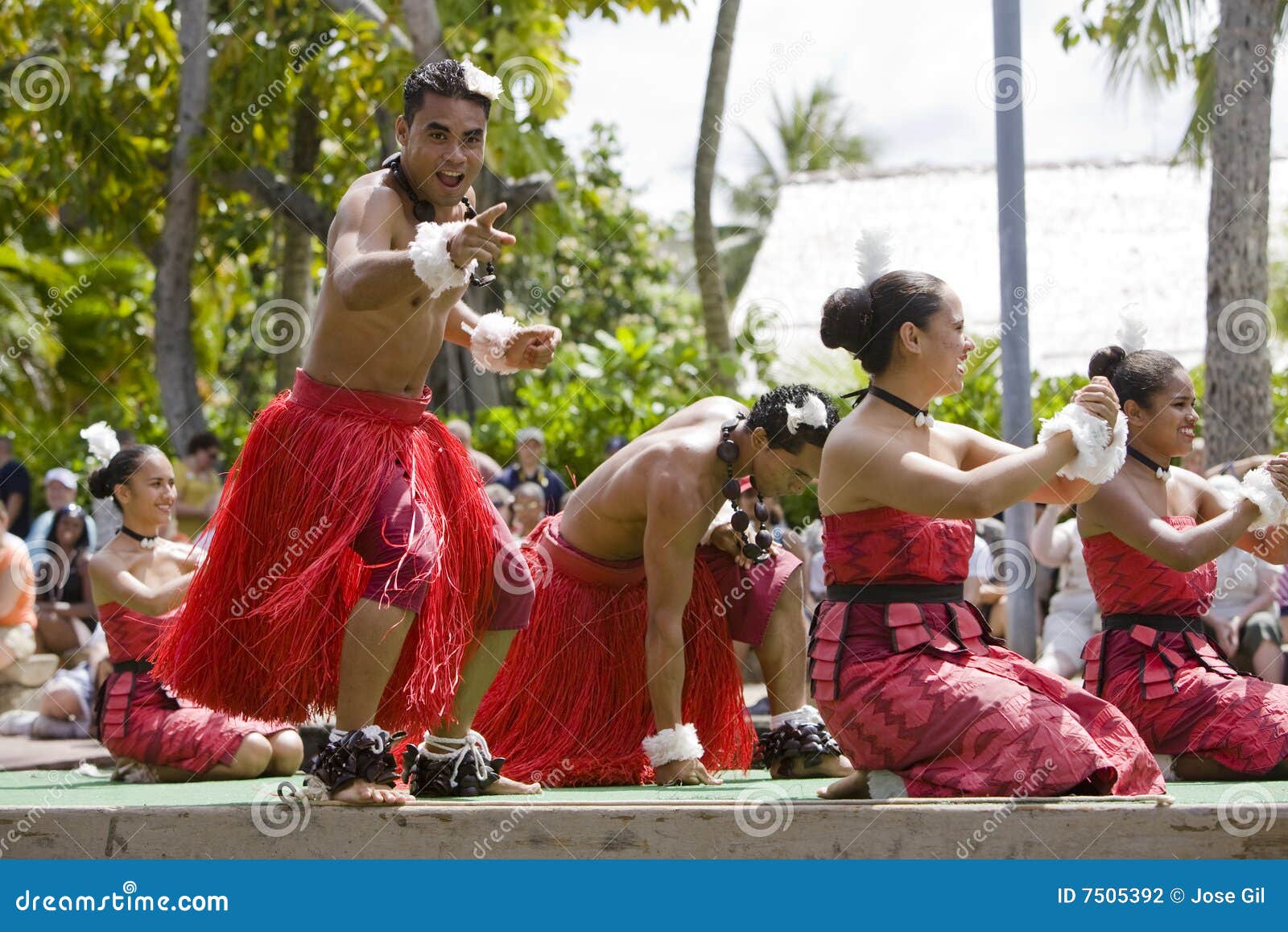 Tongan Dancers 1 editorial photography. Image of islander - 7505392