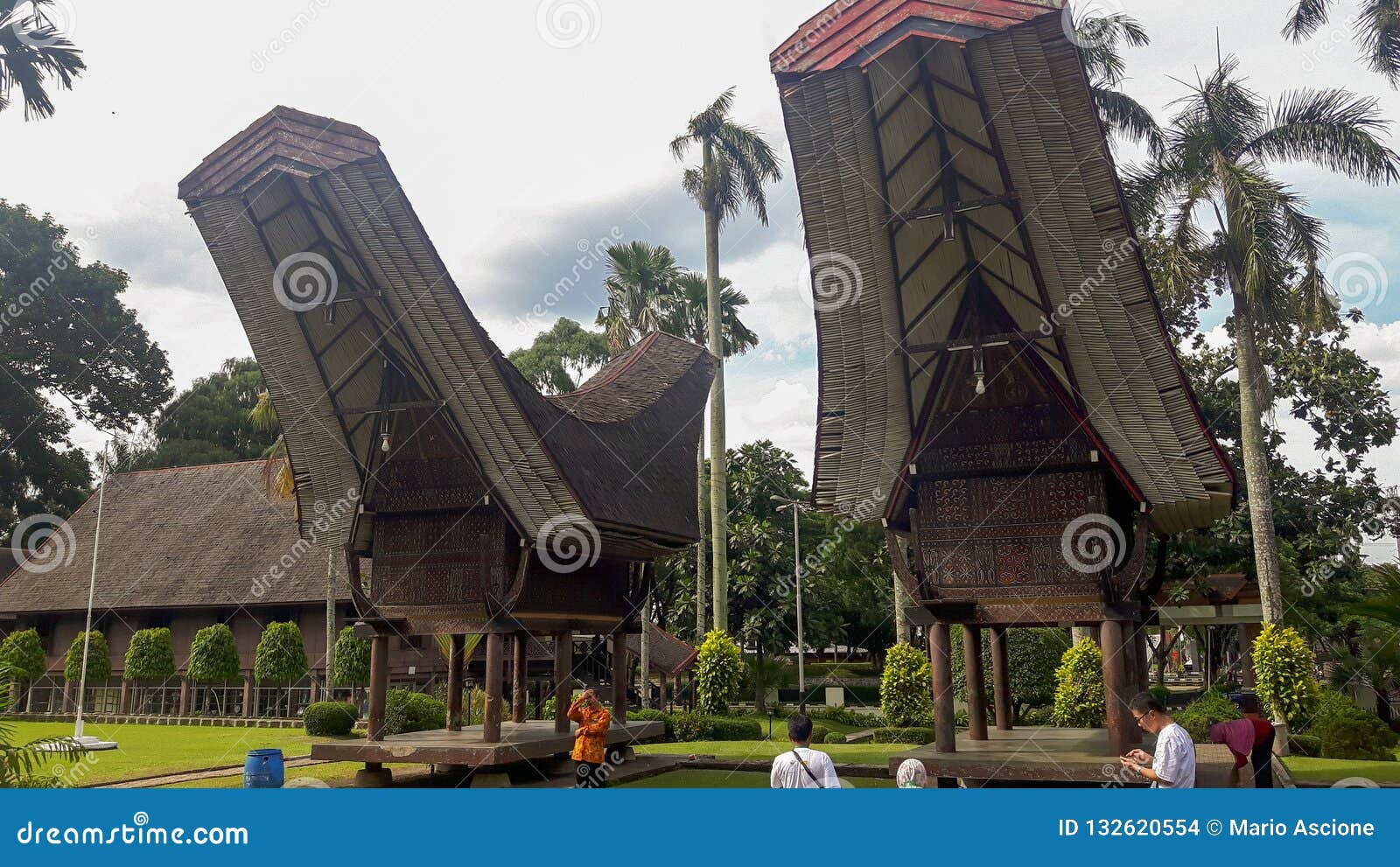Tongkonan in Indonesia immagine stock editoriale. Immagine di turismo ...